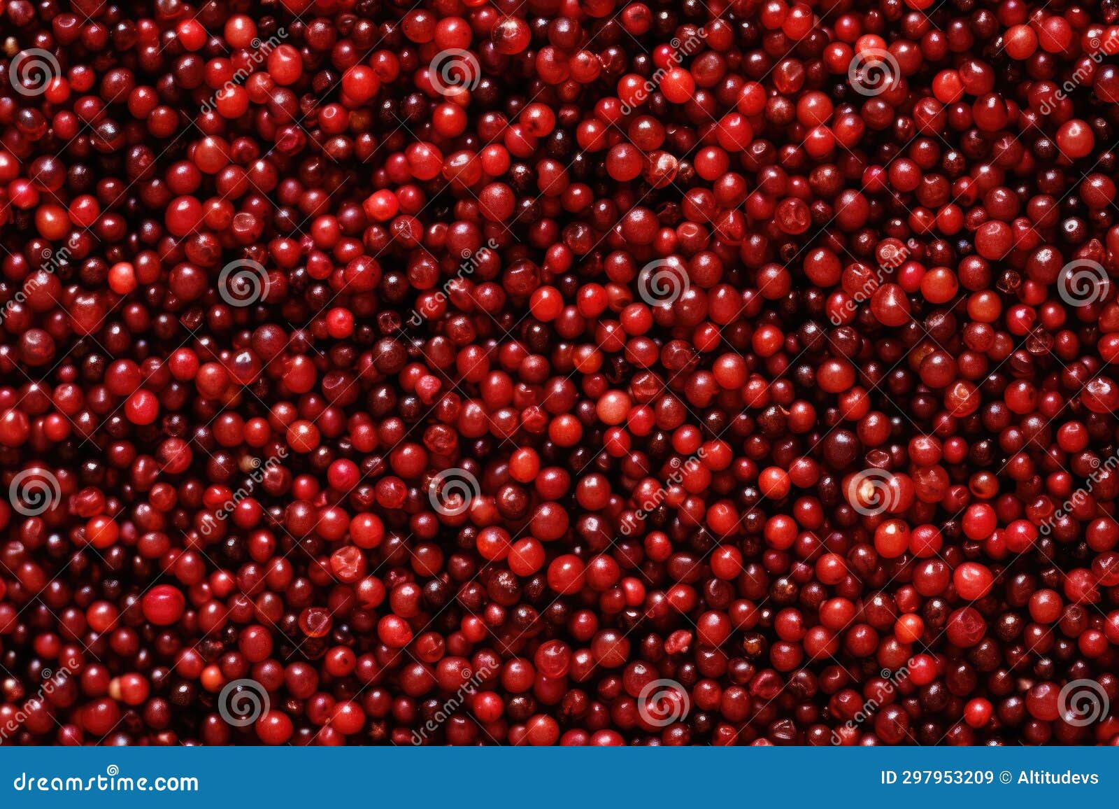 Close-up Capture of Peppercorn Texture Stock Image - Image of staple ...