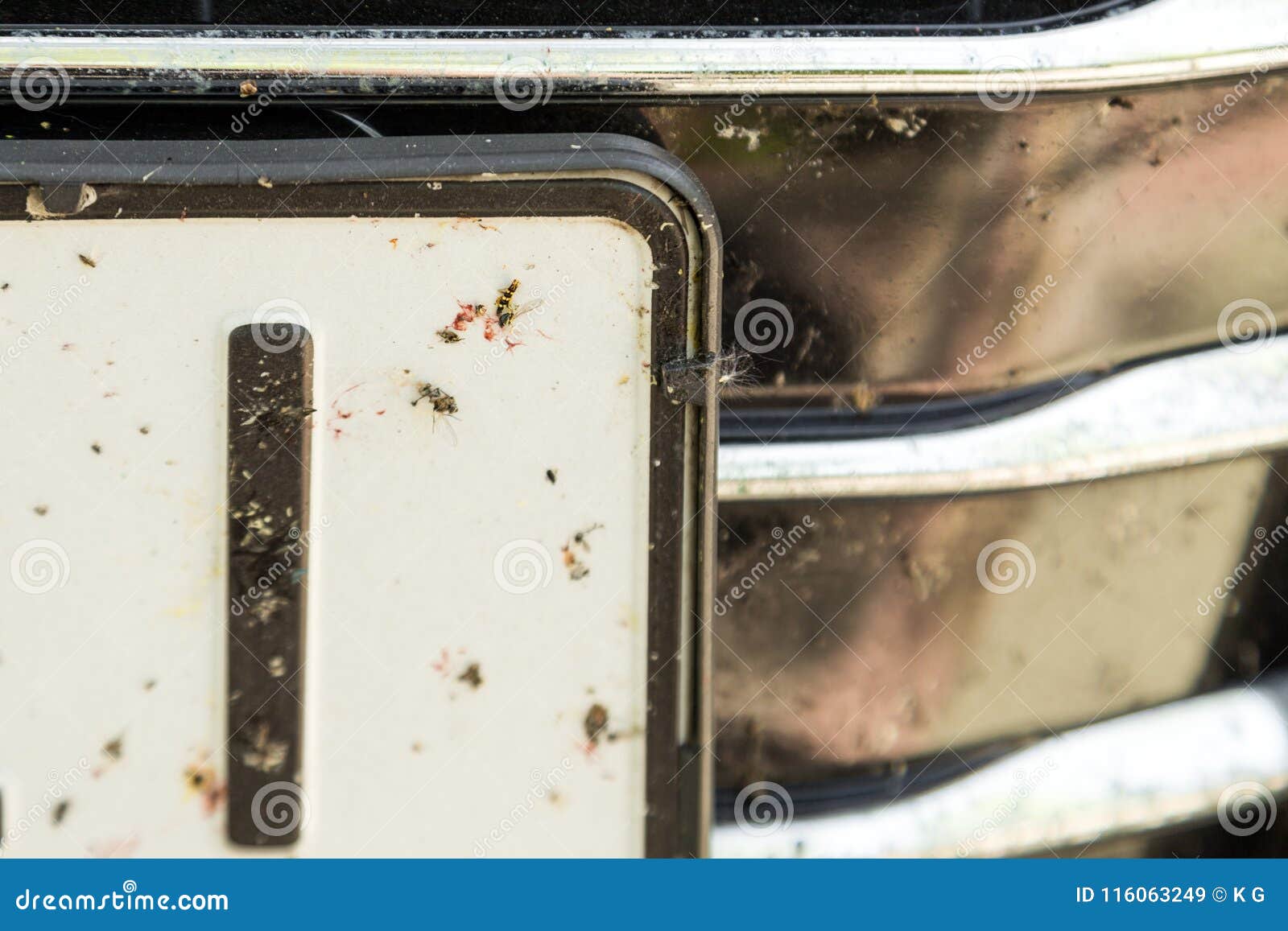 Close-up of Car Front Bumper with Many Smashed Insects. High Speed ...