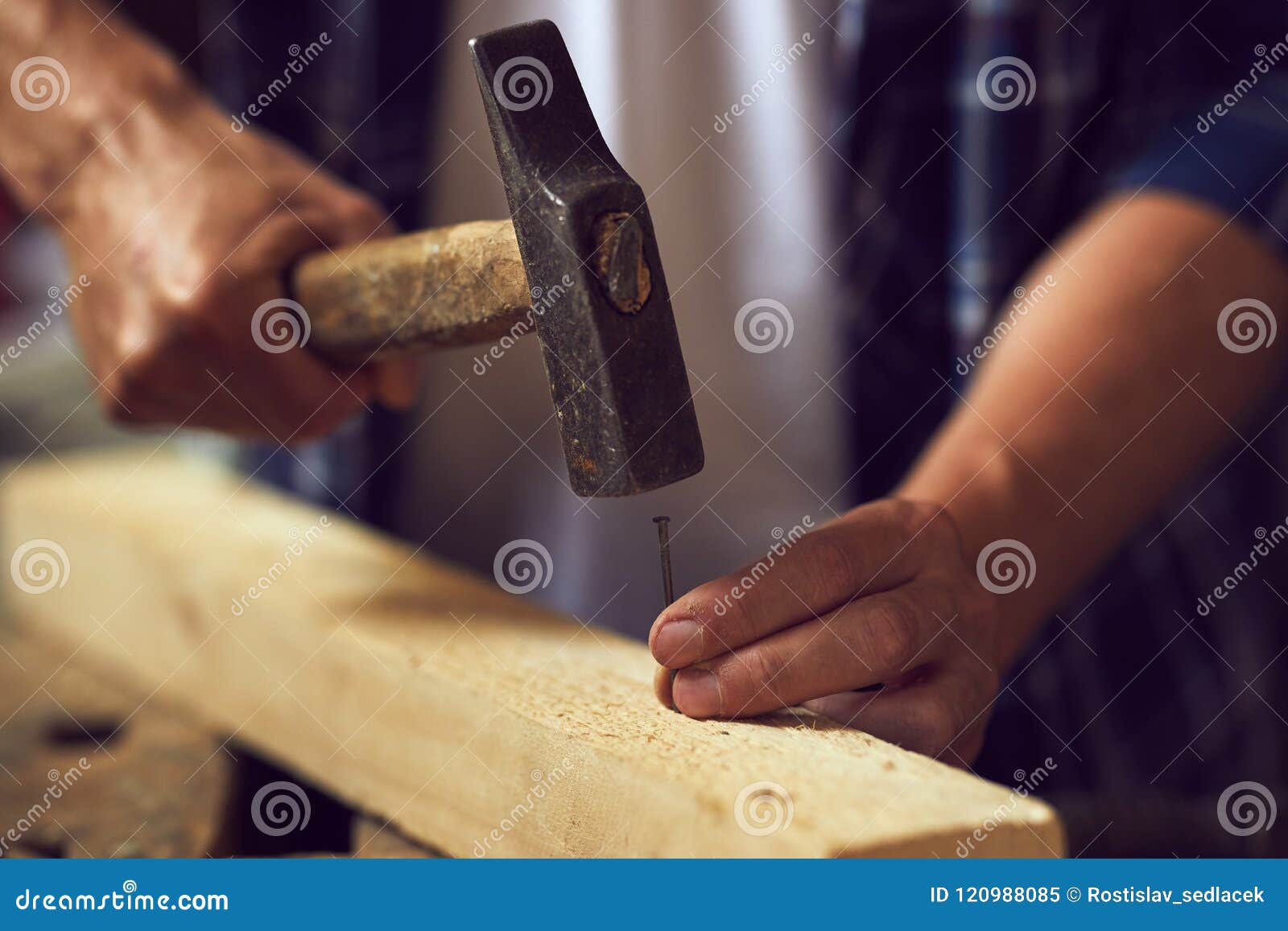 Close Up Carpenter Hammering a Nail into Wooden Plank Stock Image ... Close Up Carpenter Hammering a Nail into Wooden Plank Stock Image ...