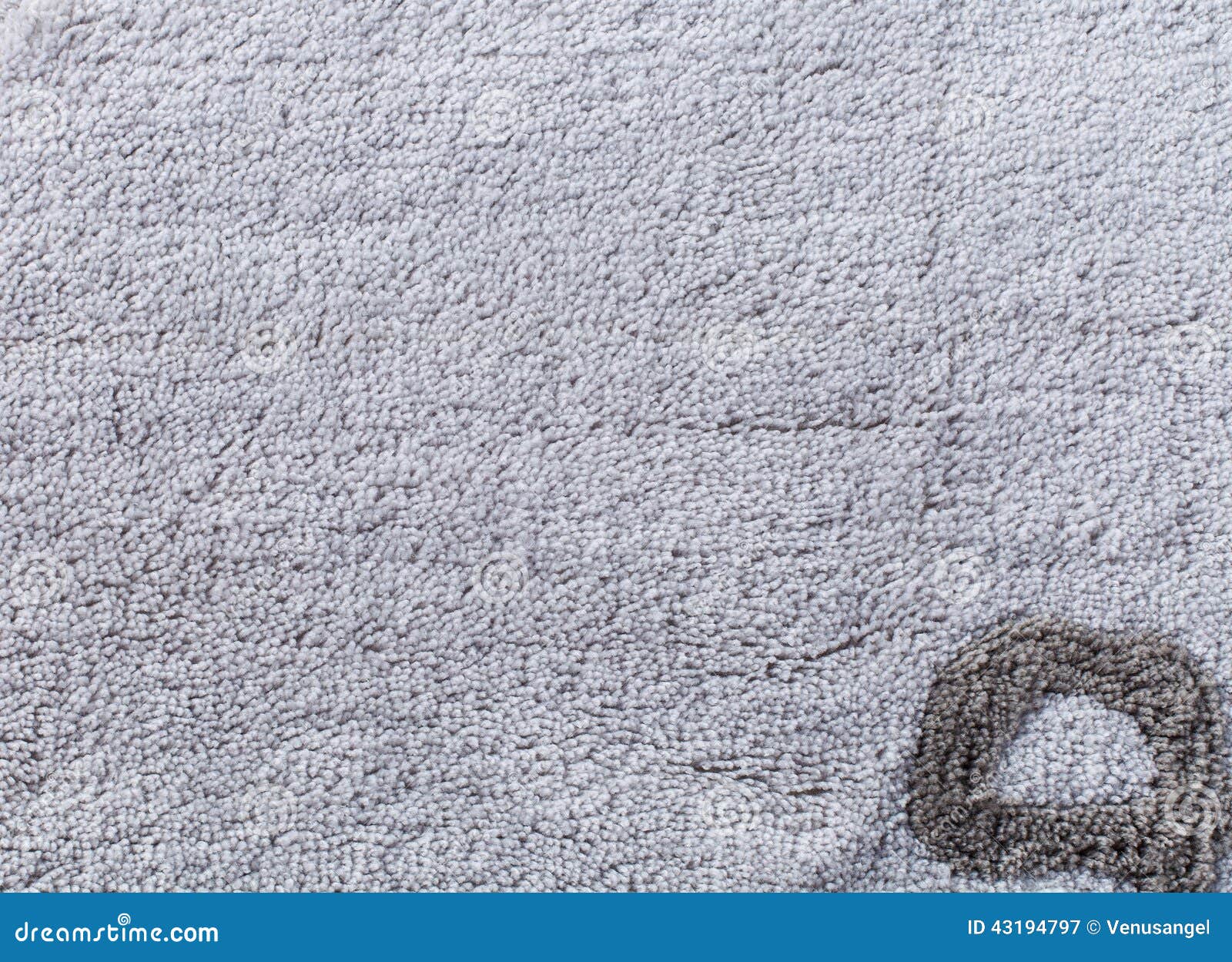 Close up of carpet texture stock image. Image of soft - 43194797