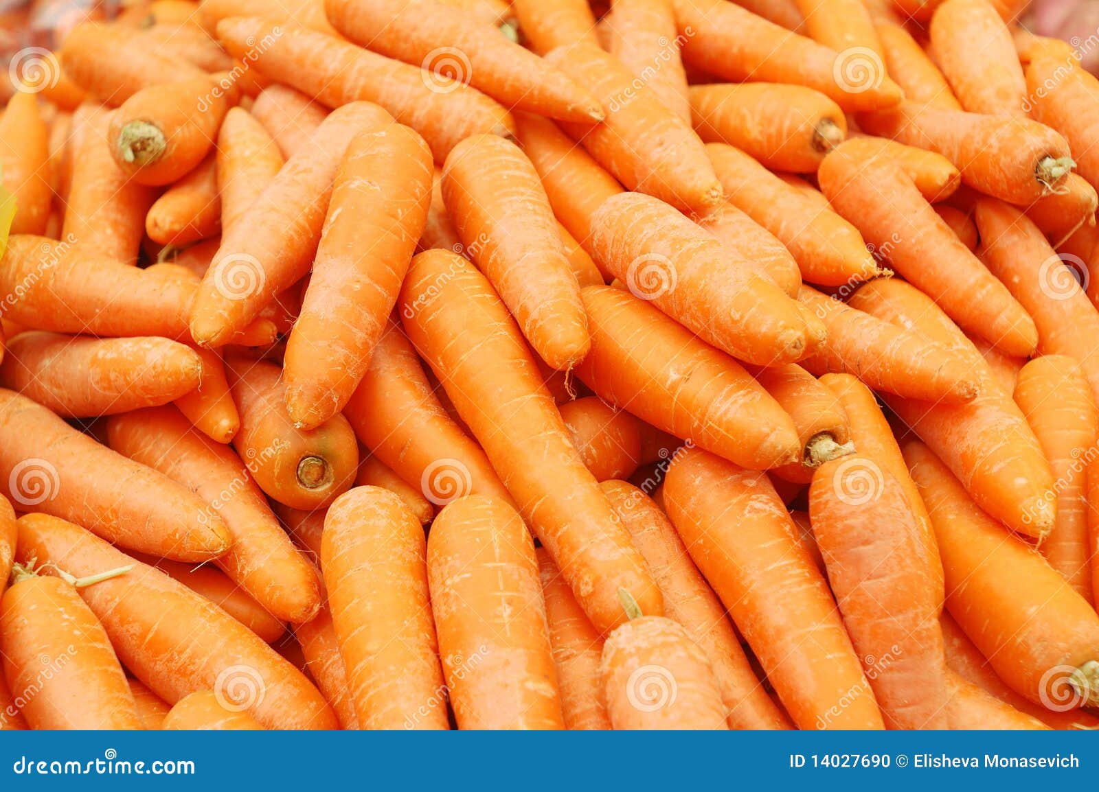 Close up of carrots stock photo. Image of bazaar, agriculture - 14027690