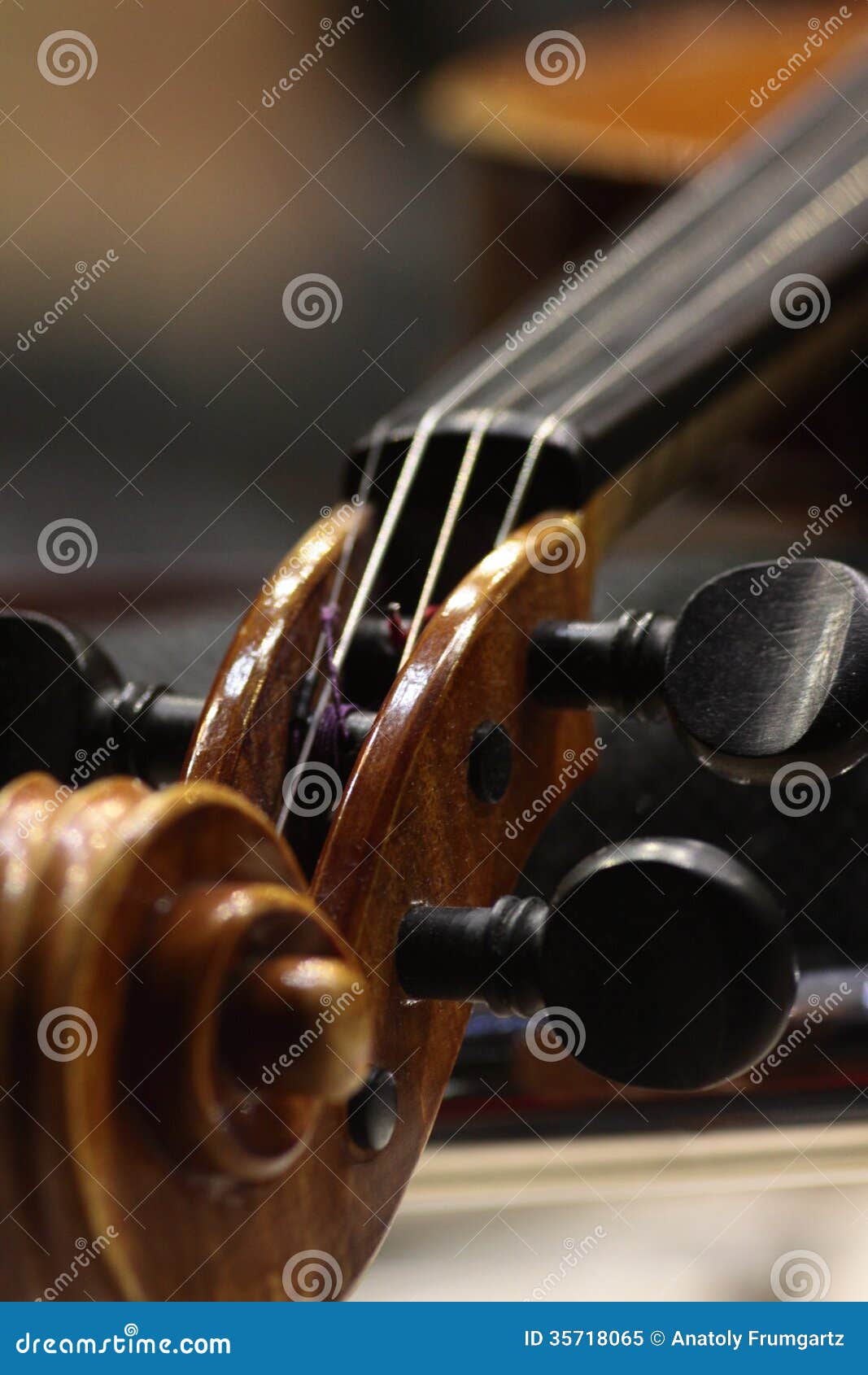 A Close-up of a Cello Pegbox Stock Image - Image of perform, scroll ...