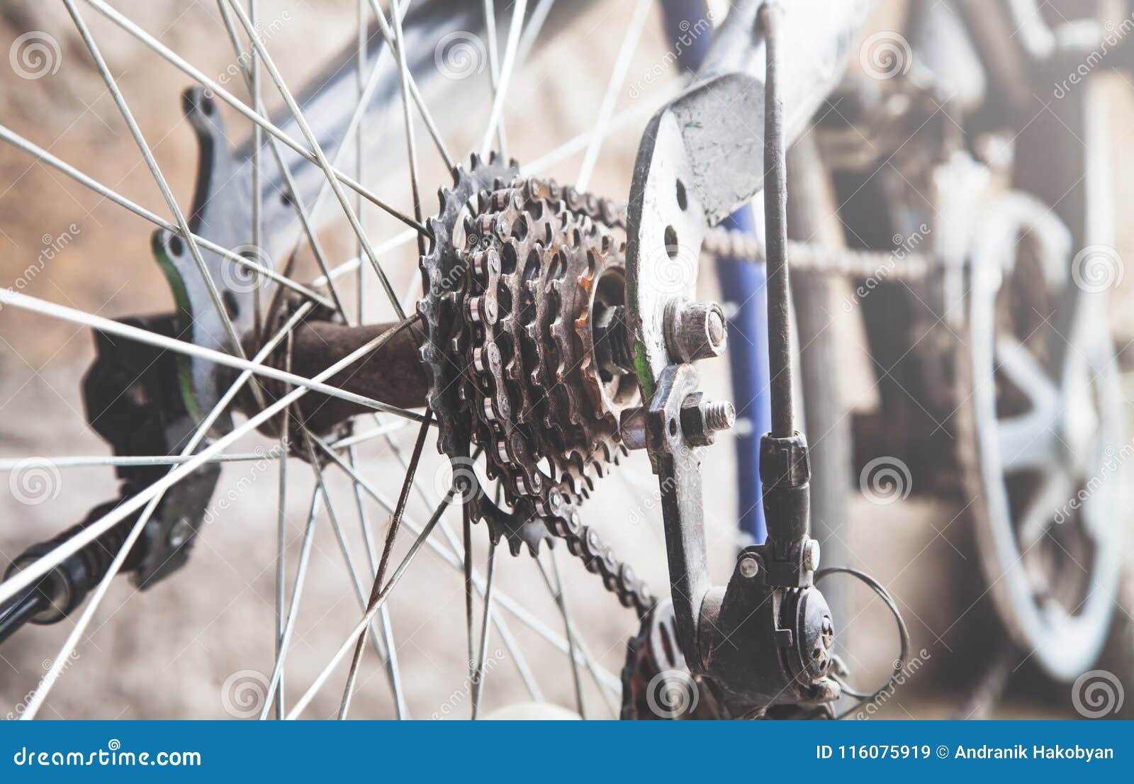 Close Up of a Chain and Gear System of Bicycle. Stock Image - Image of ...