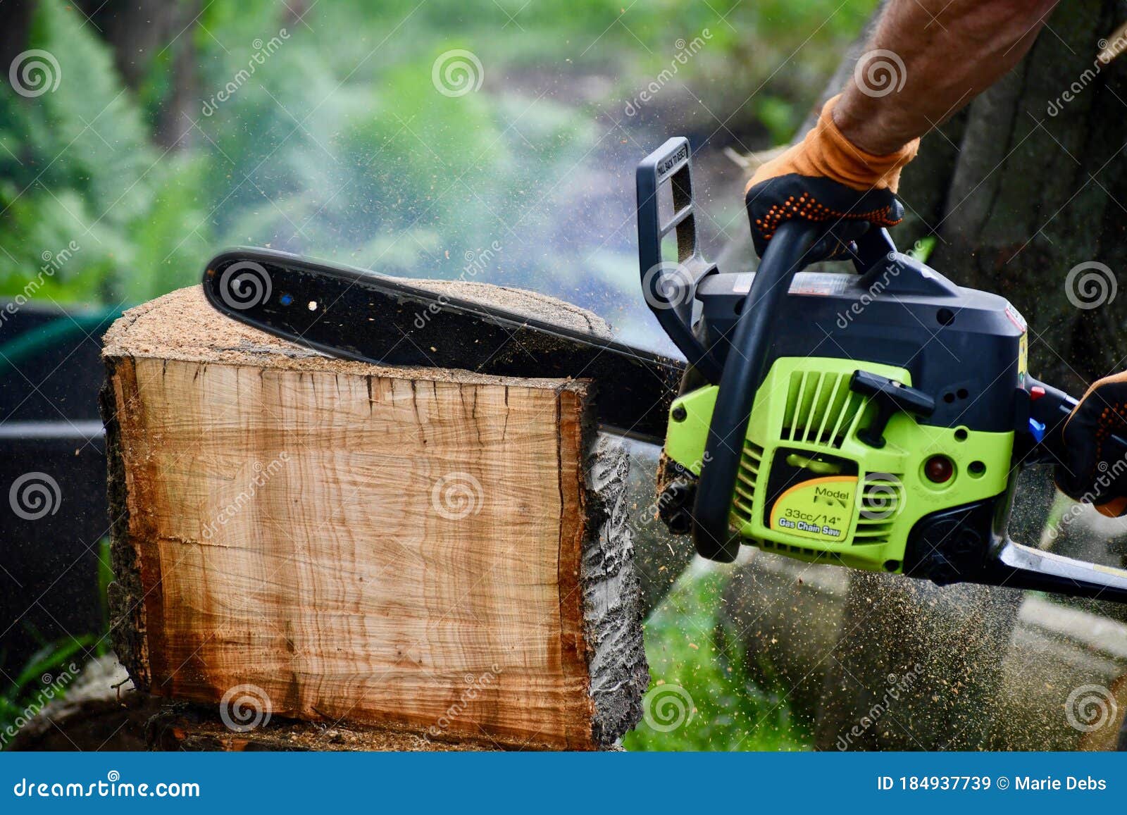 A Vertical Cut with a Chainsaw on a Piece of Cherry Wood. Stock Image ...