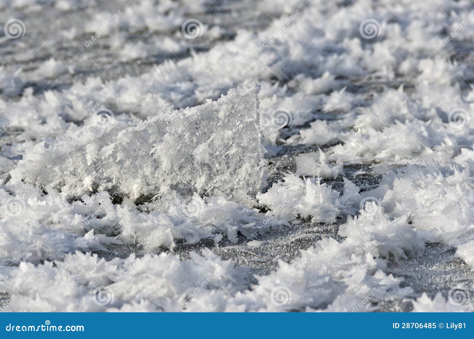 Close-up of Chaotic Ice Floe Stock Image - Image of cold, floating ...