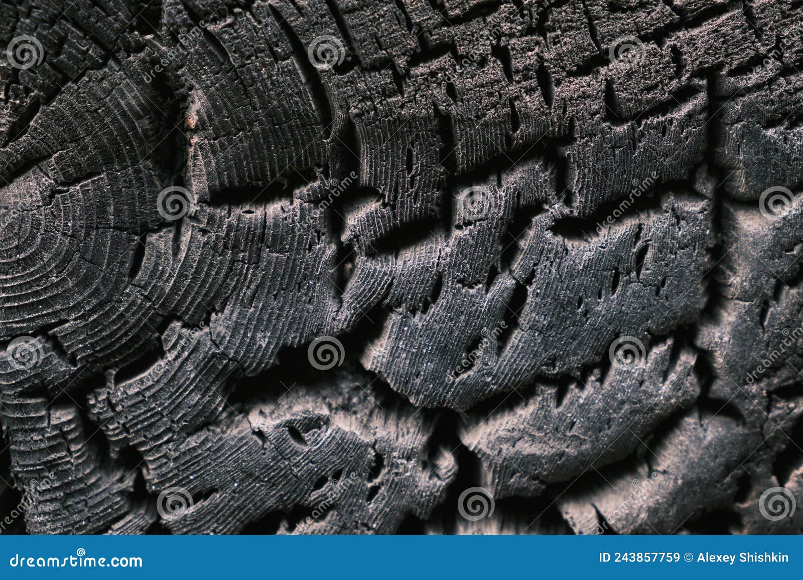 Close-up of a Charred Wood. Texture Stock Image - Image of burning ...