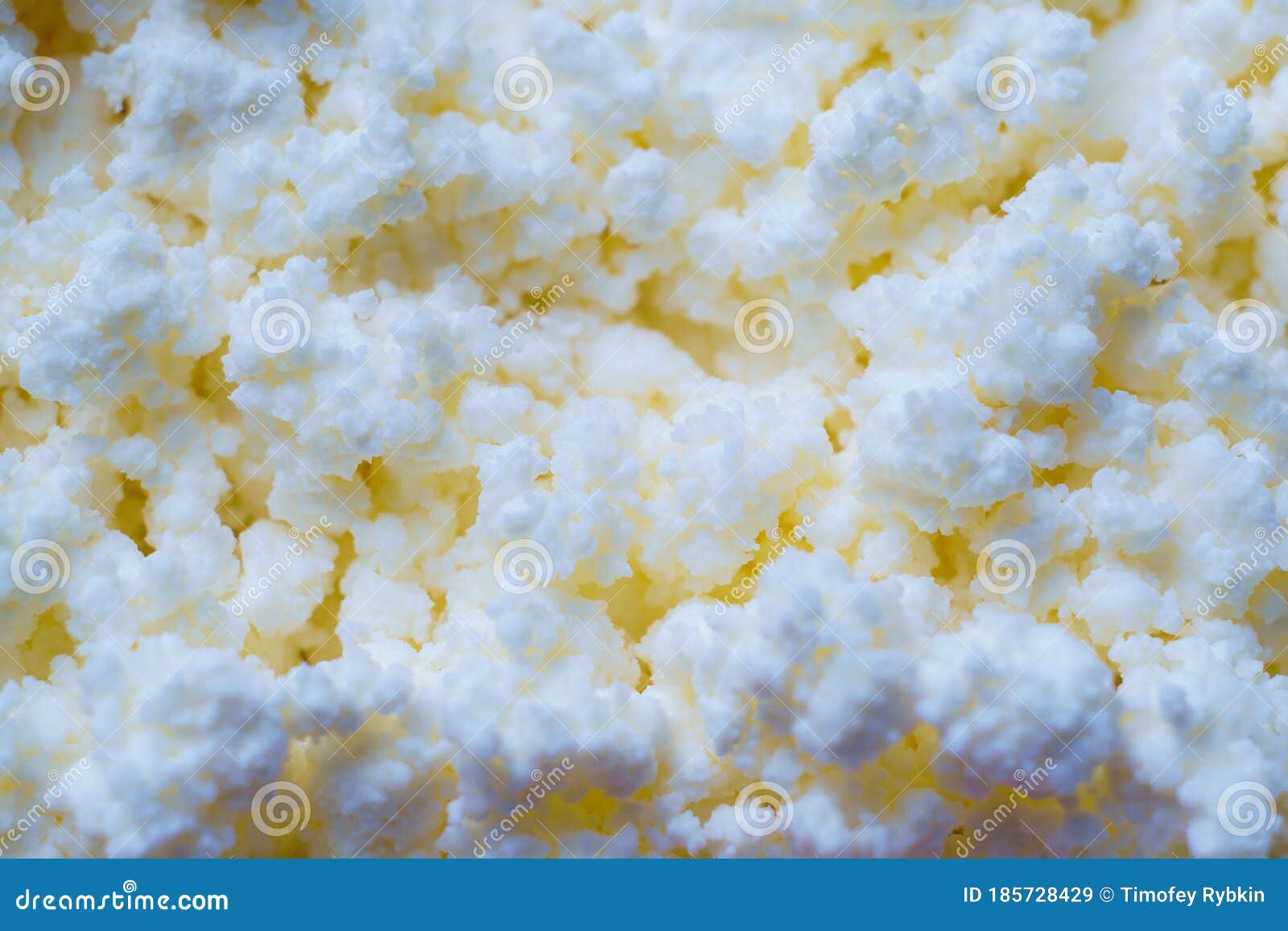 Close-up of Cheese Curd in a Plate Ready To Eat Stock Image - Image of ...