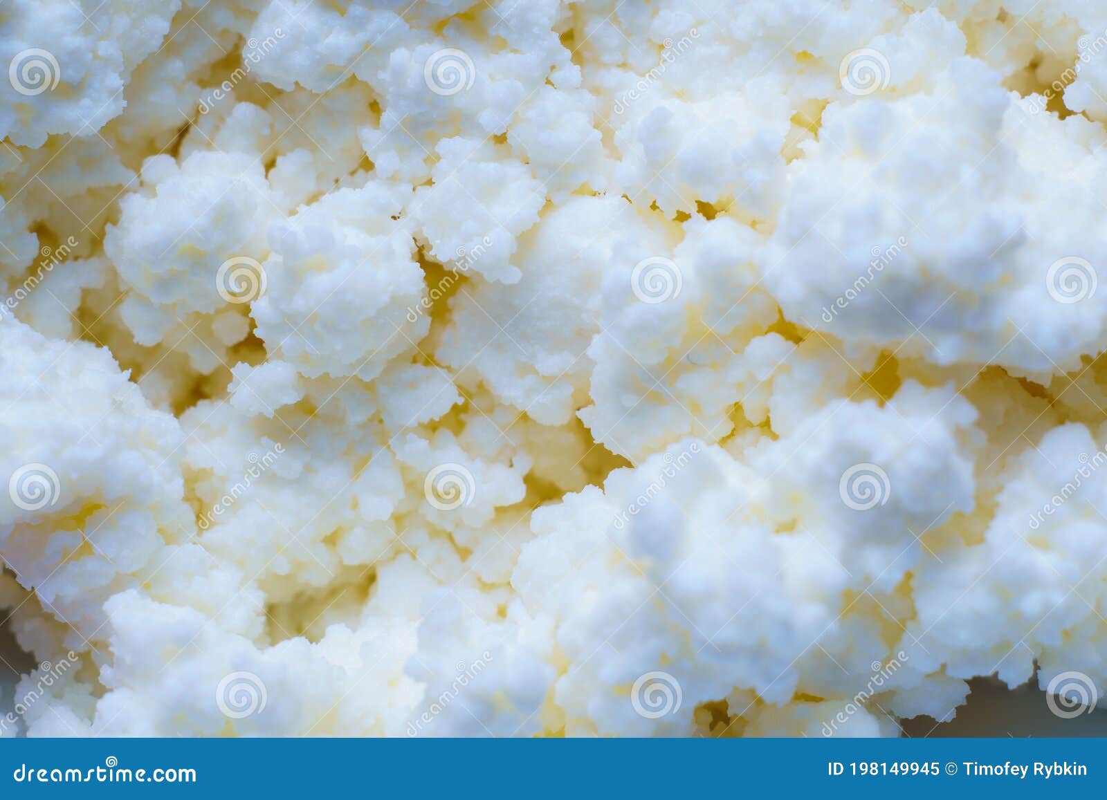 Close-up of Cheese Curd in a Plate Ready To Eat Stock Image - Image of ...
