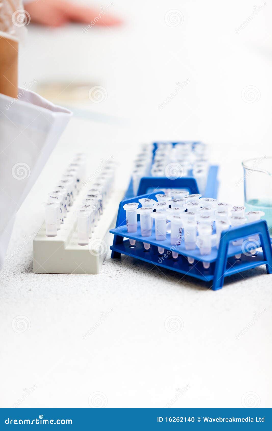 Close-up of Chemistry Samples Stock Photo - Image of research, work ...