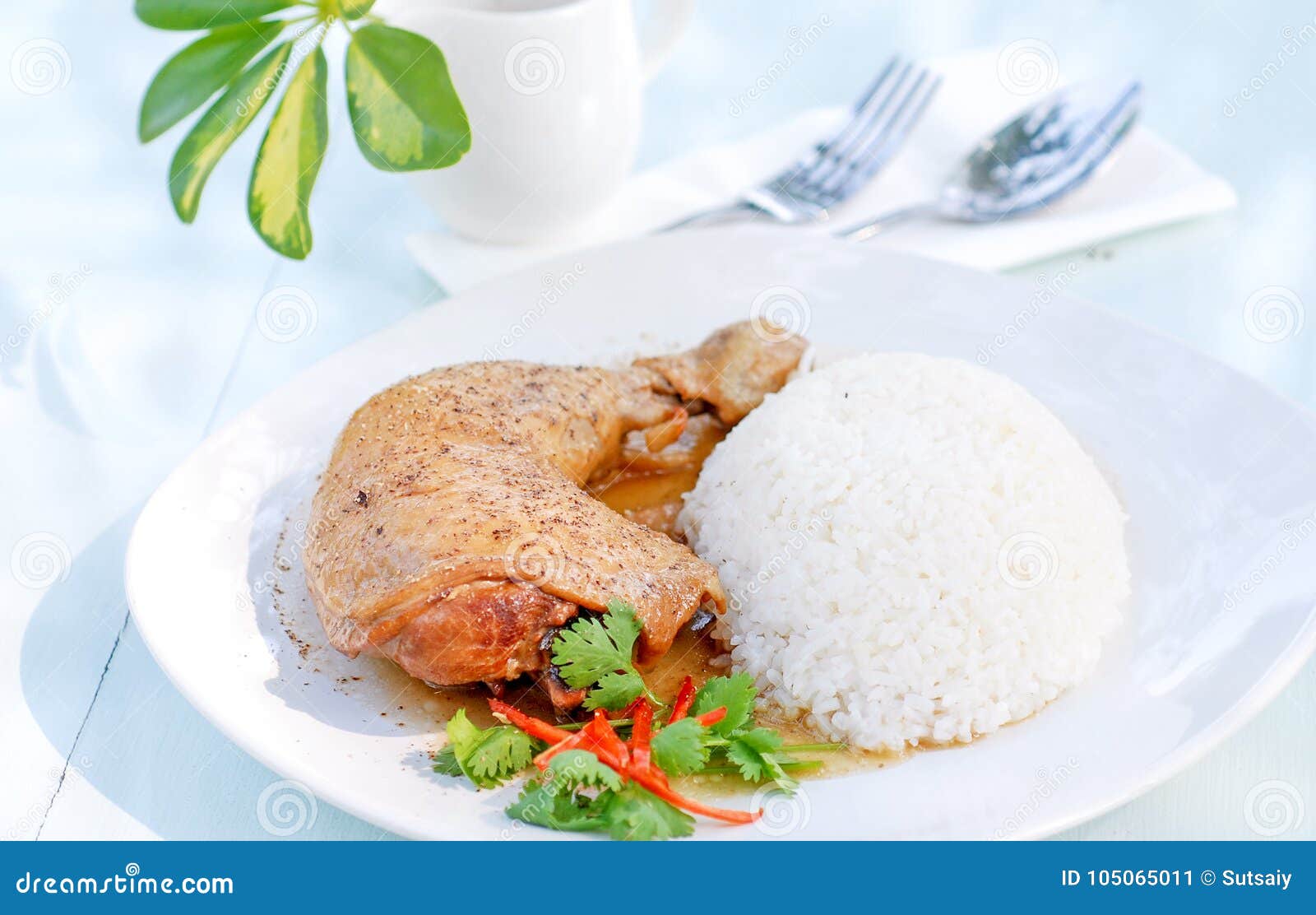 Chicken with White Rice and Vegetables Stock Image - Image of dish ...