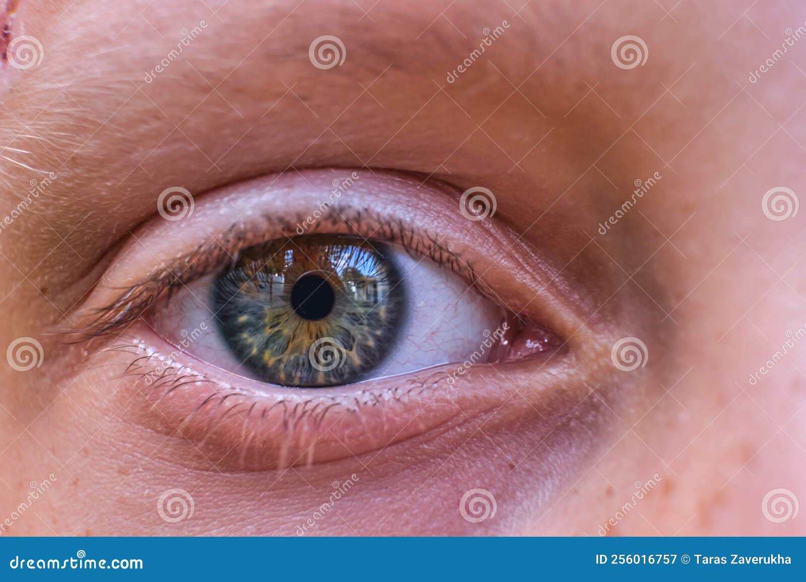 Close-up of the Child`s Eye. Side View Stock Image - Image of health ...