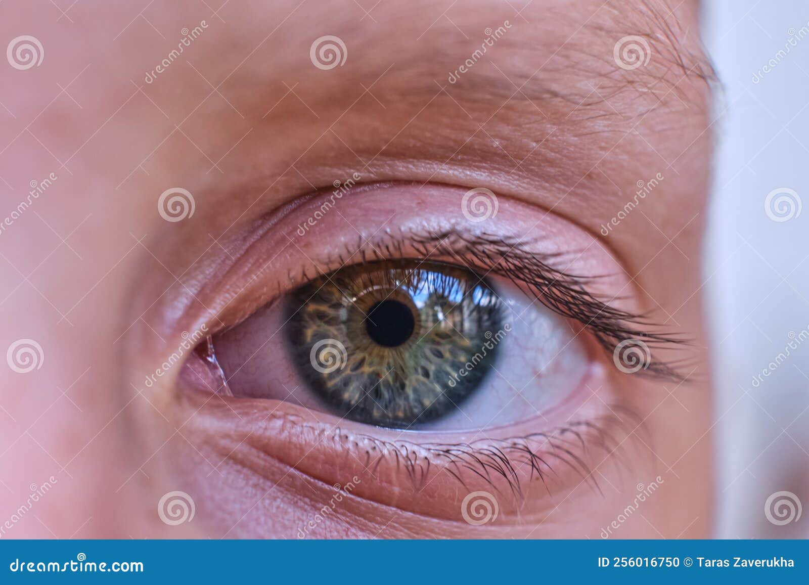 Close-up of the Child`s Eye. Stock Photo - Image of health, close ...
