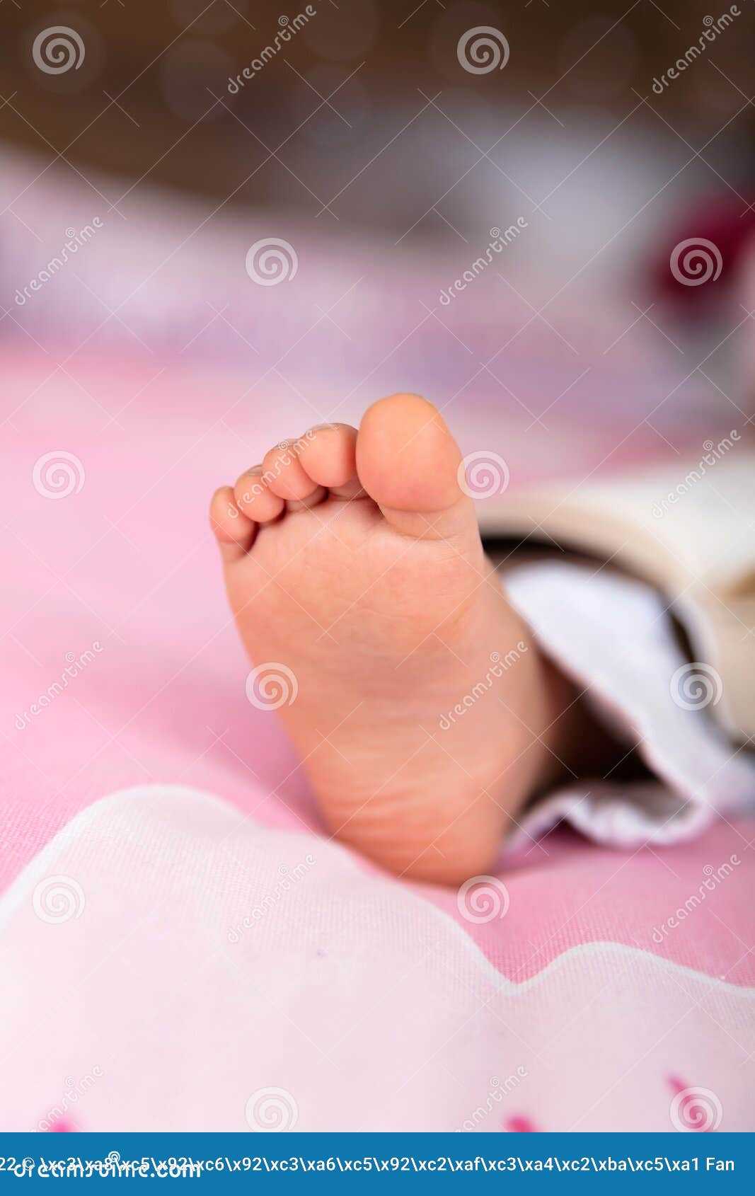 Close Up of Children`s Feet Stock Photo - Image of people, foot: 230624222