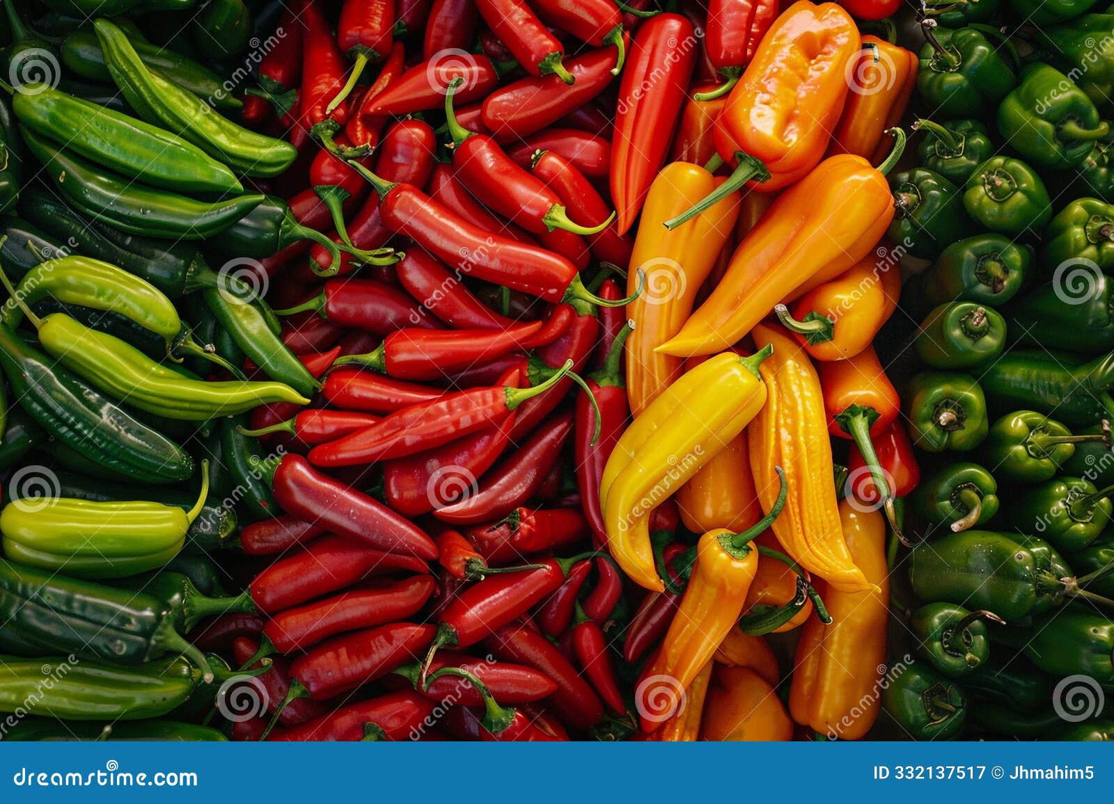 Spice Level Scale. Food Spiciness Indicator. Spicy Badges Types. Vector ...