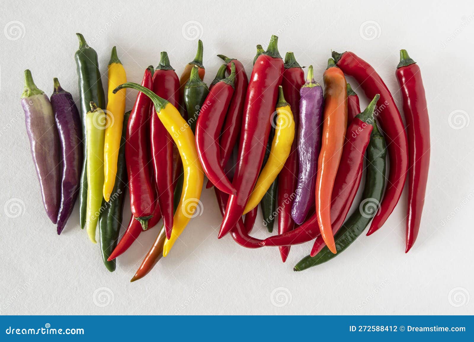 Close up of chillies stock photo. Image of cooking, cook - 272588412