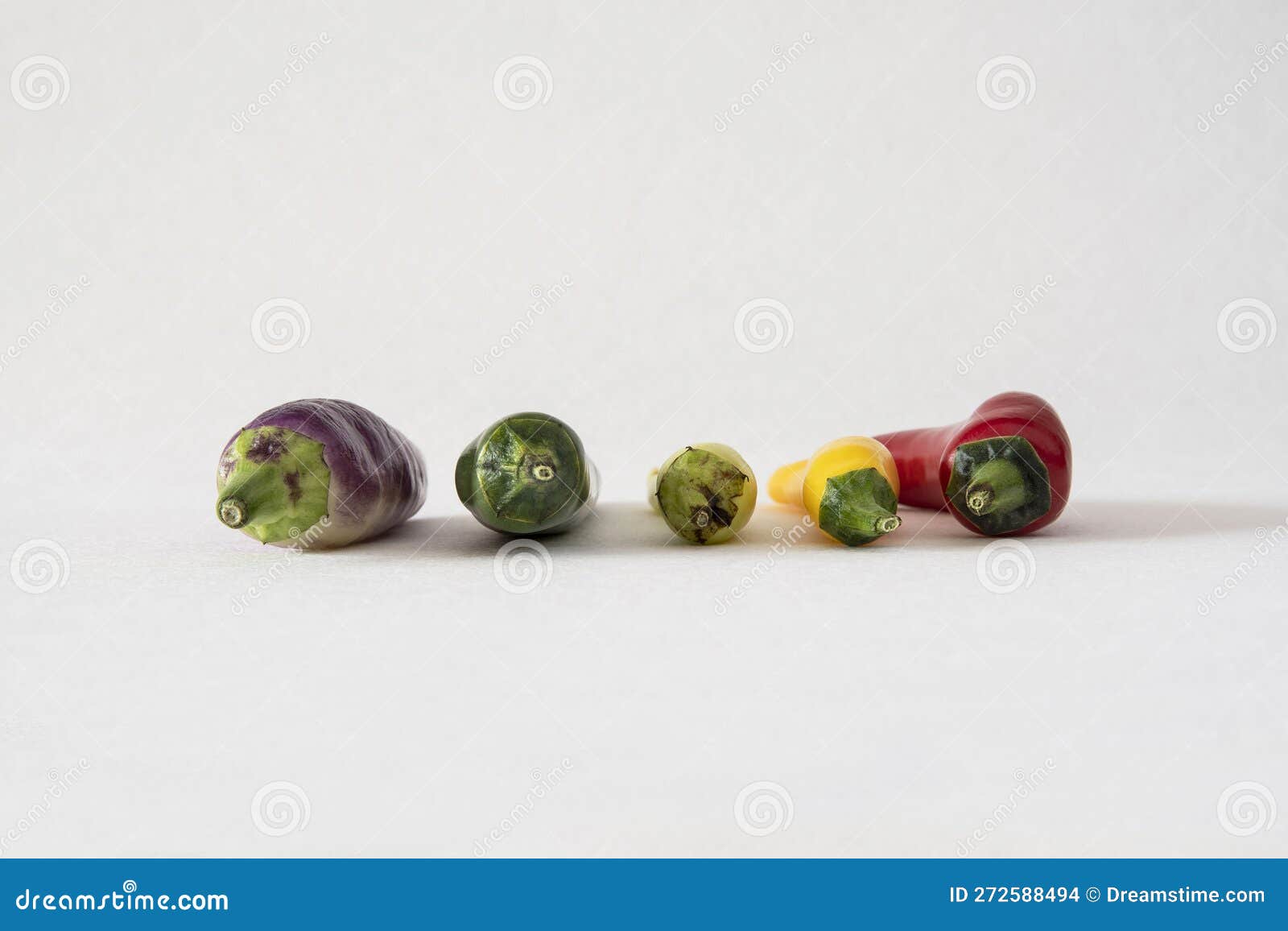 Close up of chillies stock photo. Image of spice, cook - 272588494