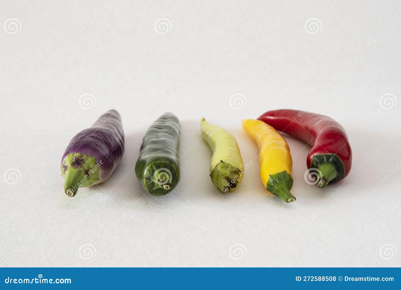 Close up of chillies stock photo. Image of chillies - 272588508