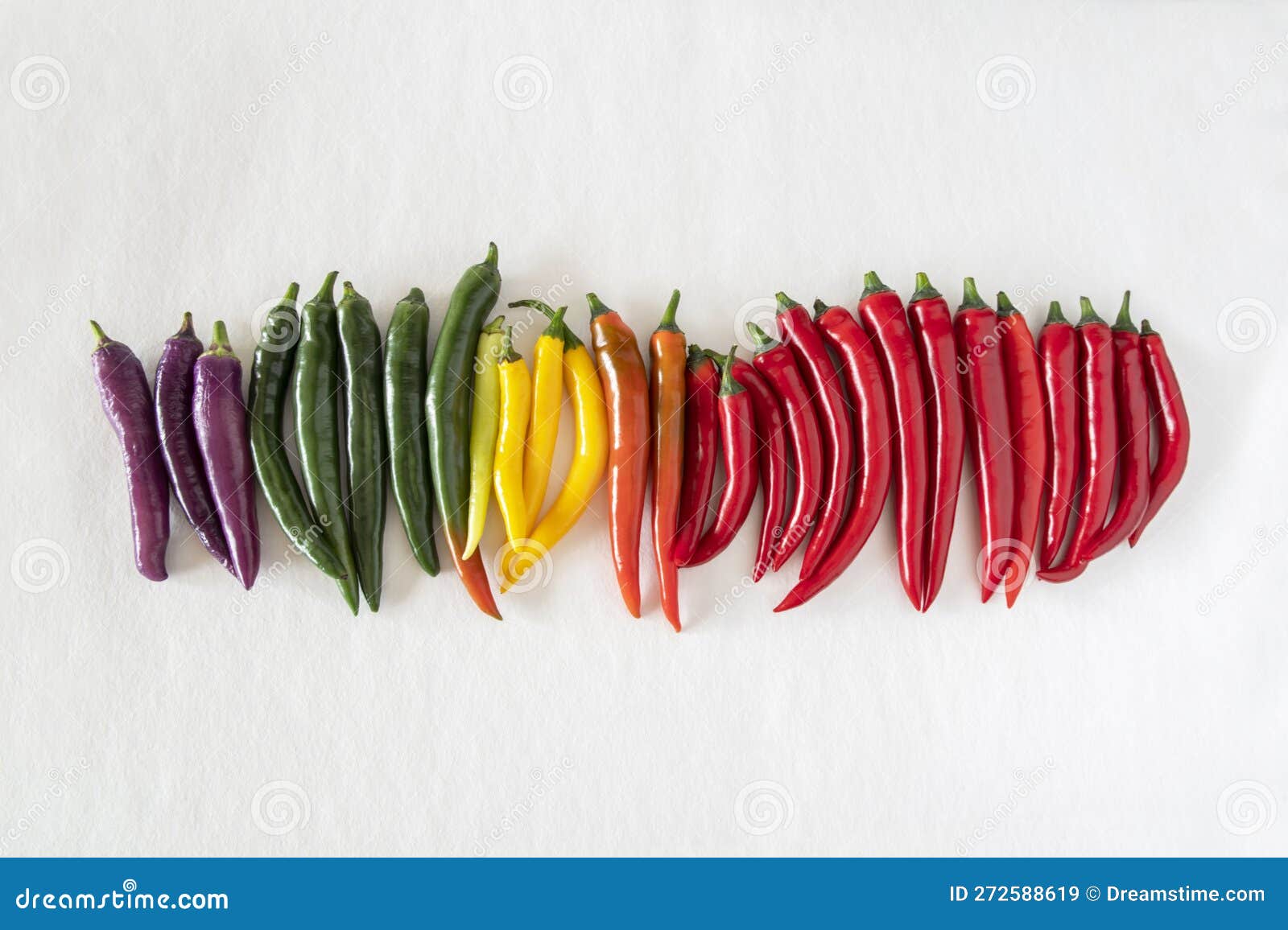 Close up of chillies stock image. Image of spice, color - 272588619