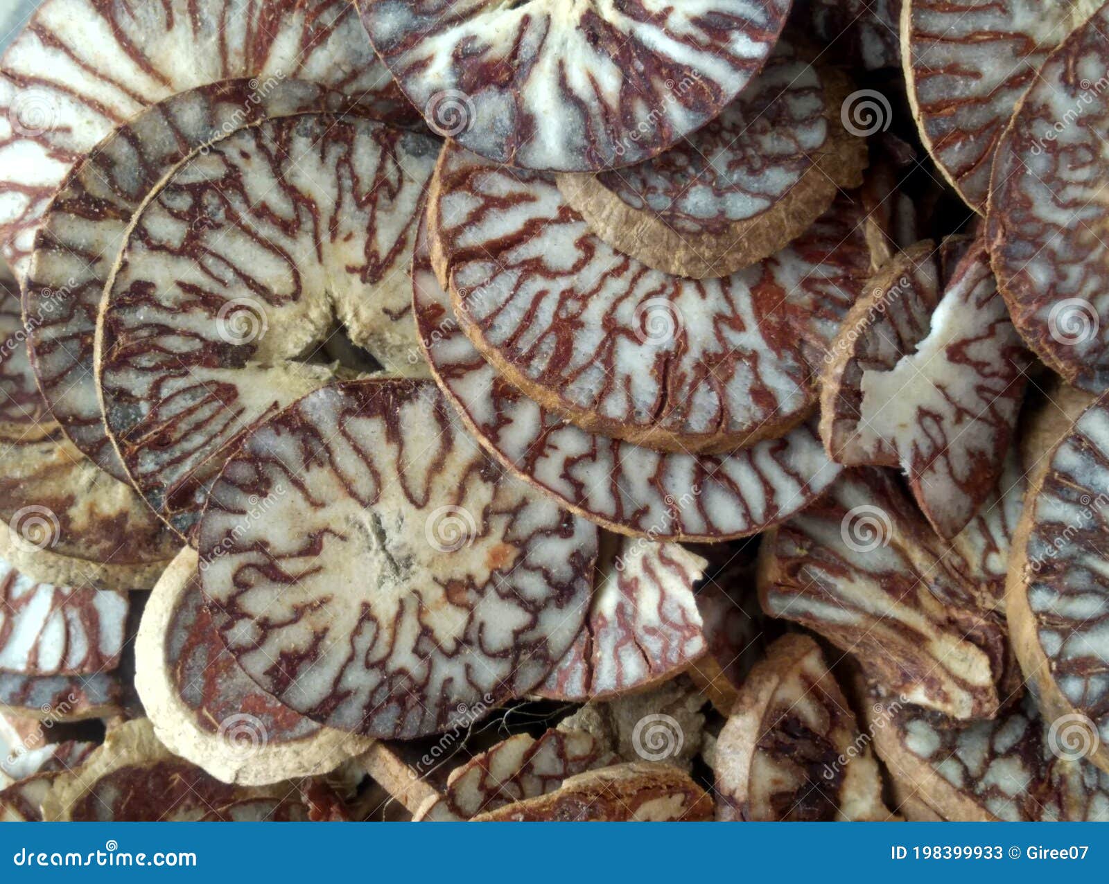 Chips Betel Nuts Or Areca Nuts Royalty-Free Stock Image | CartoonDealer ...