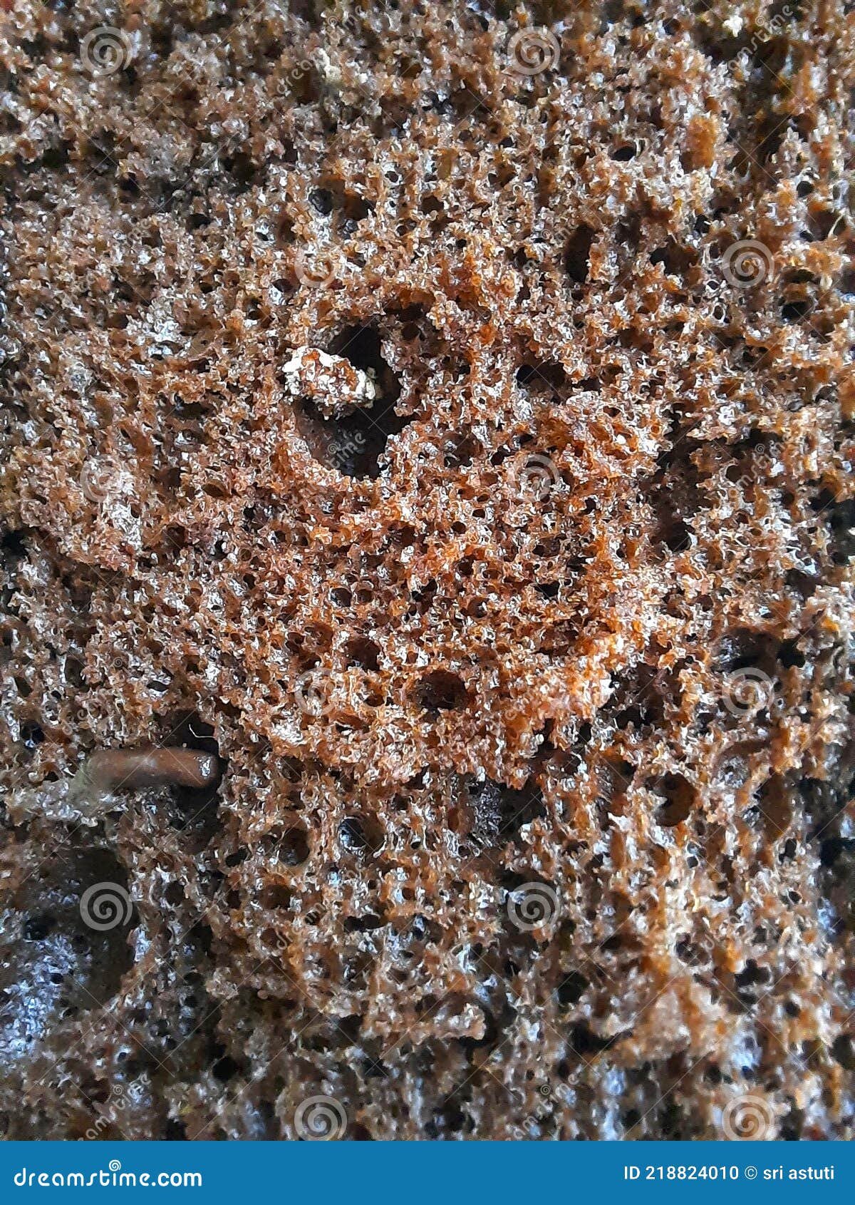 Close-up of Chocolate Cake Texture Stock Photo - Image of rock ...