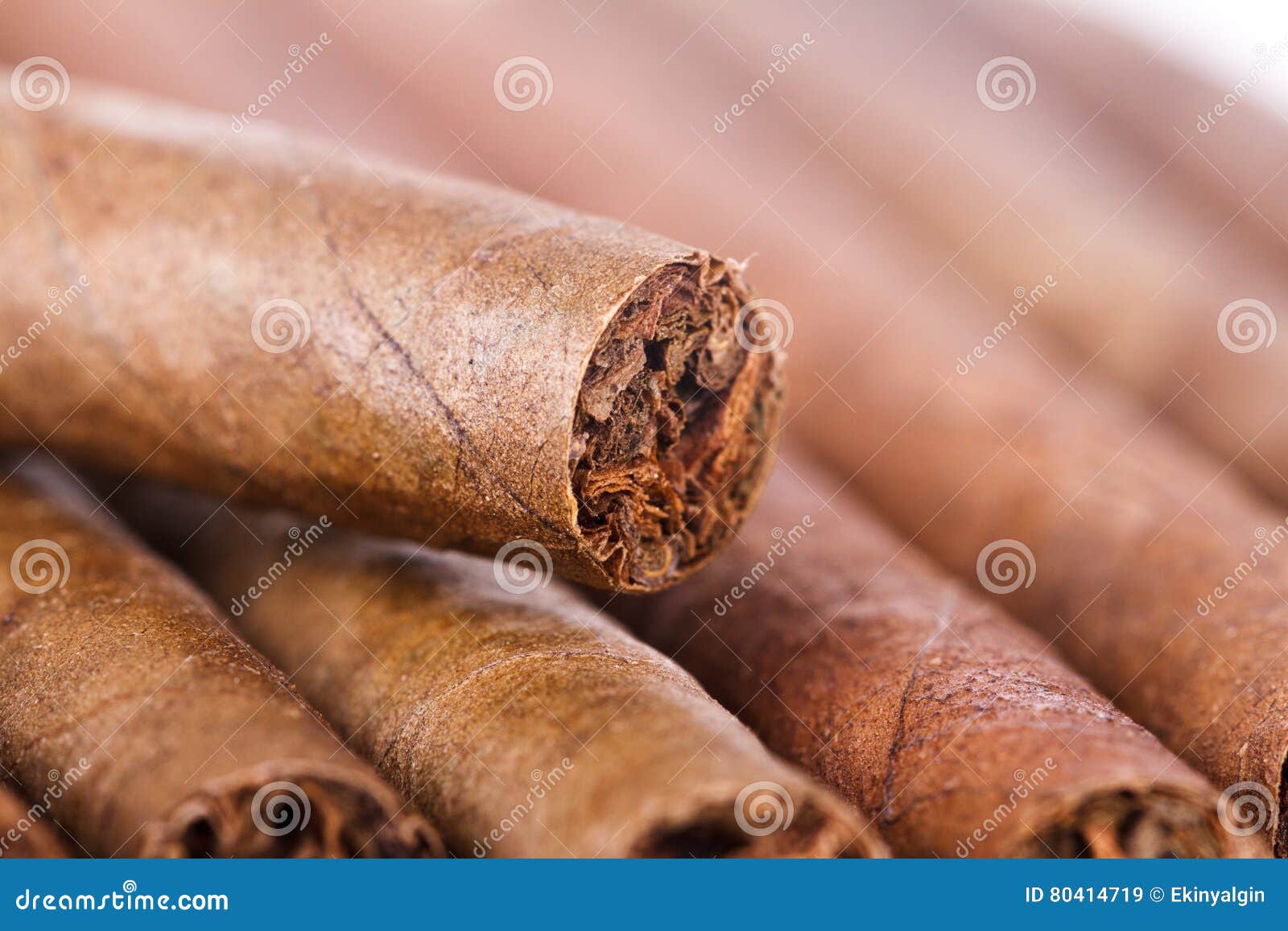 Close Up of Chocolate Cigars Stock Image - Image of smoke, cigar: 80414719