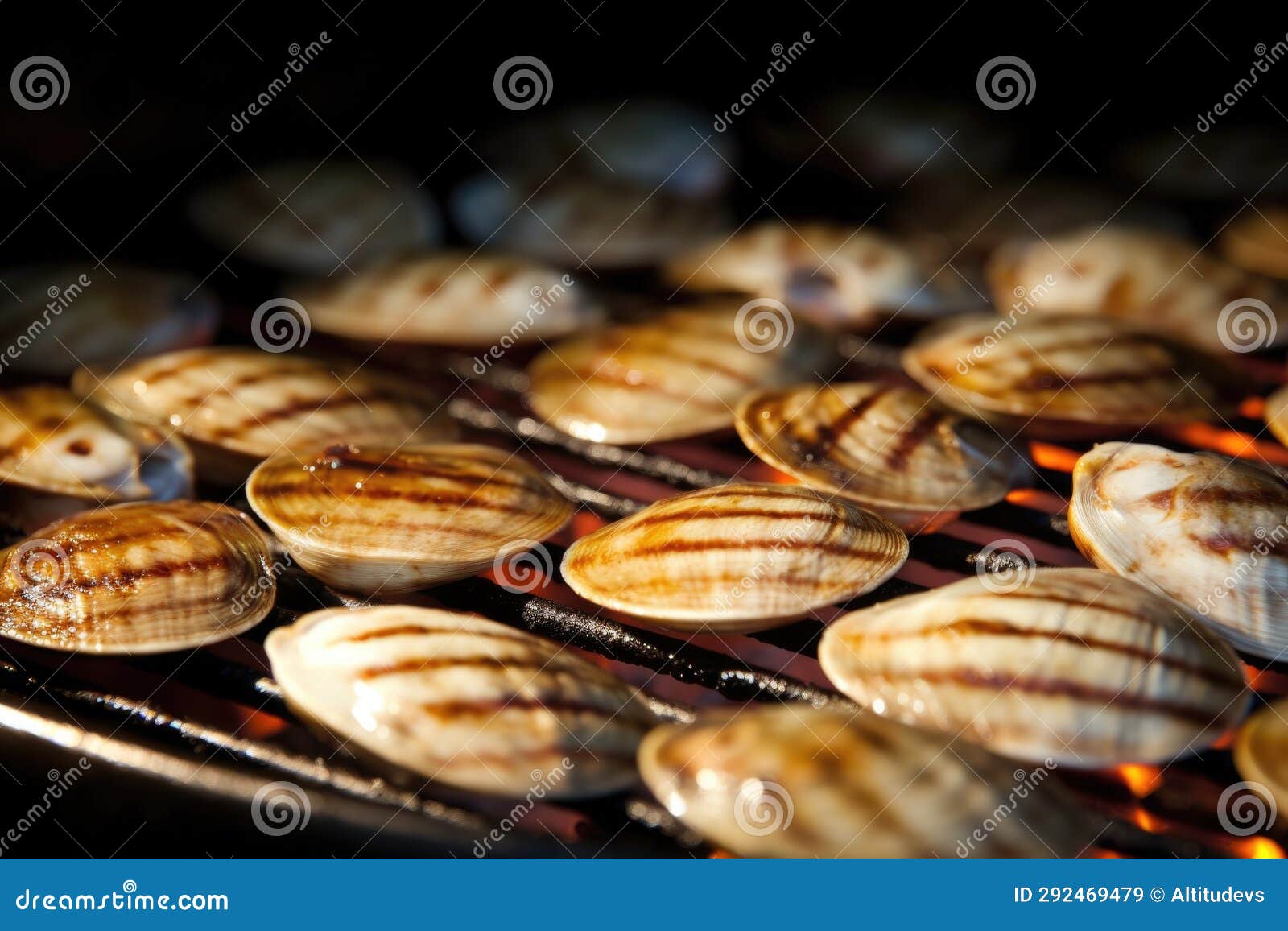 Close-up of Clams Shell Patterns Under Grill Light Stock Image - Image ...
