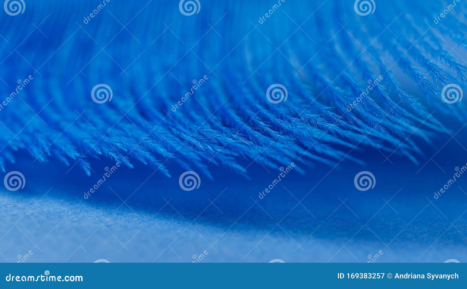 Close Up of Blue Feather Texture Background Stock Image - Image of ...