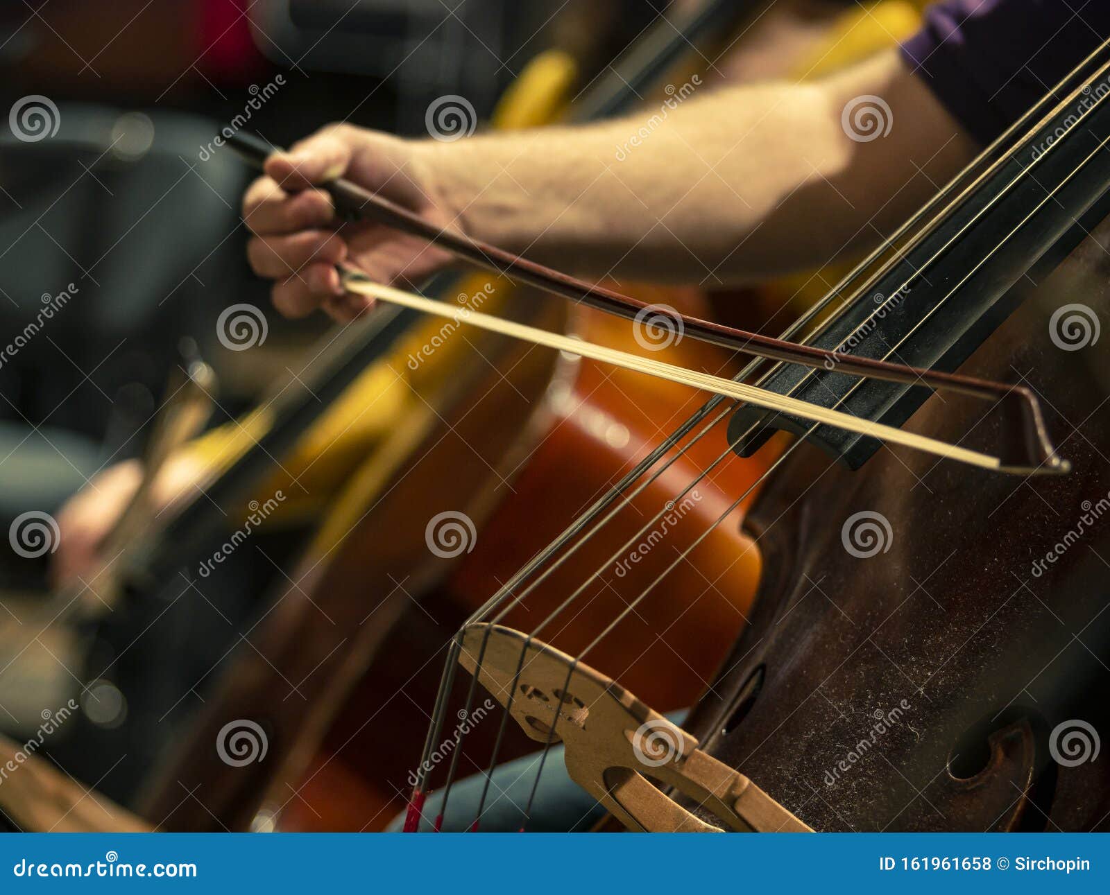 Close-up on Classical String Instruments - Double Bass - Side View ...
