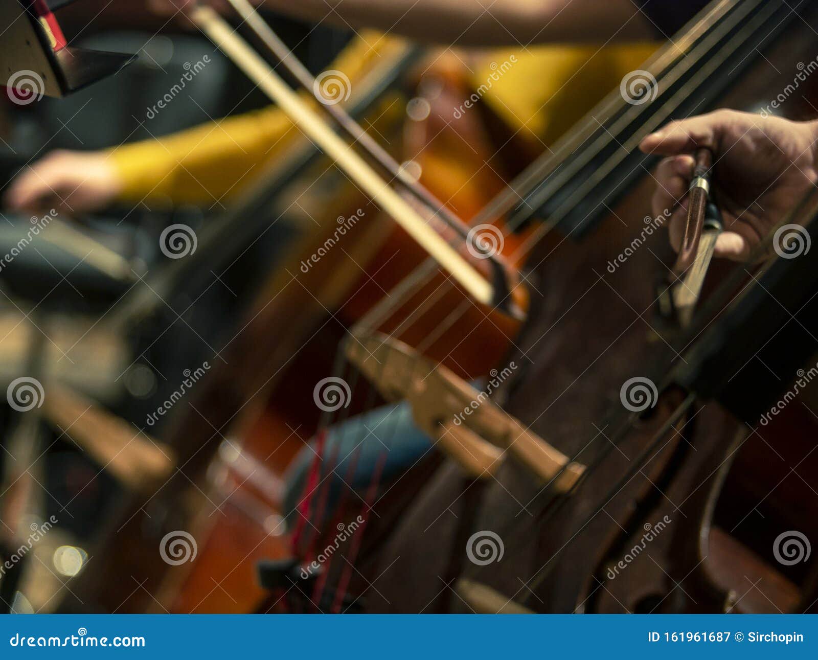 Close-up on Classical String Instruments - Double Bass - Side View ...