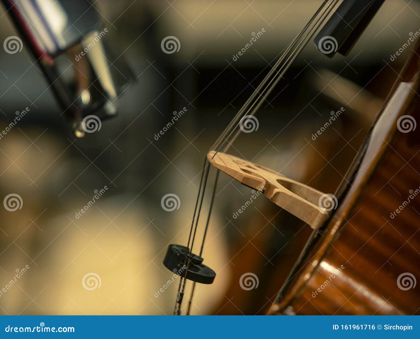 Close-up On Classical String Instruments - Double Bass - Side View ...
