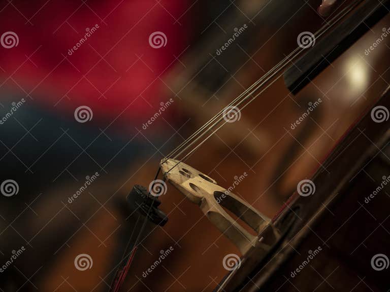 Close-up on Classical String Instruments - Double Bass - Side View ...