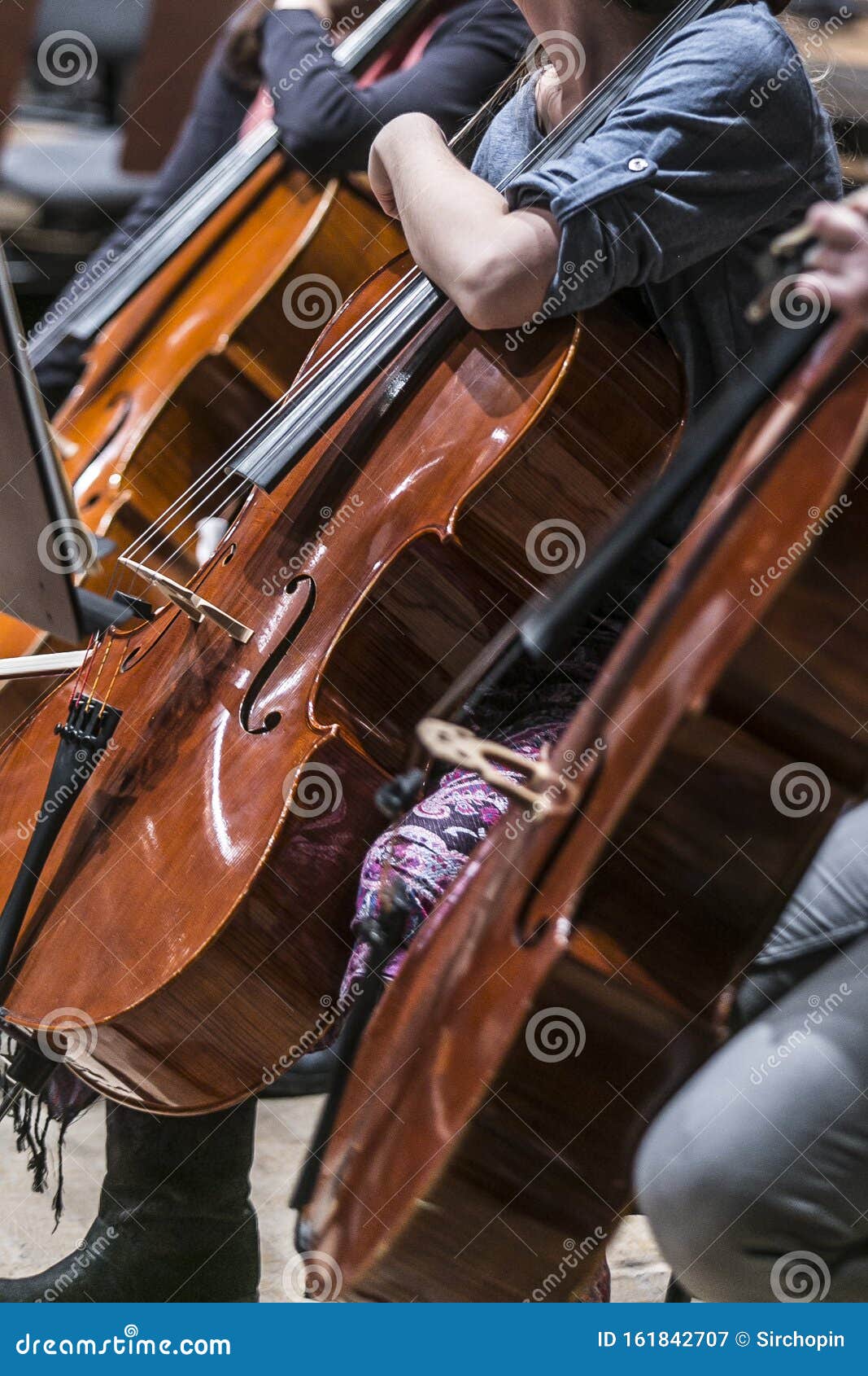 Row of Contrabass - Side View - Background - Symphony Orchestra ...