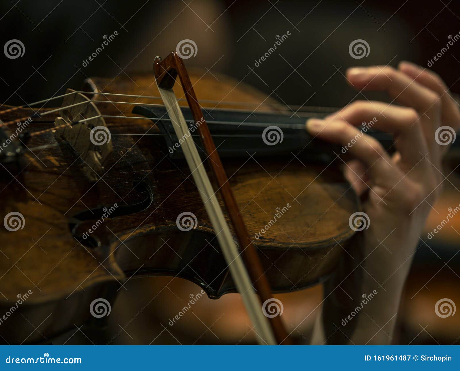 Violin in a Large Close-up - Side View - Background - Symphony ...