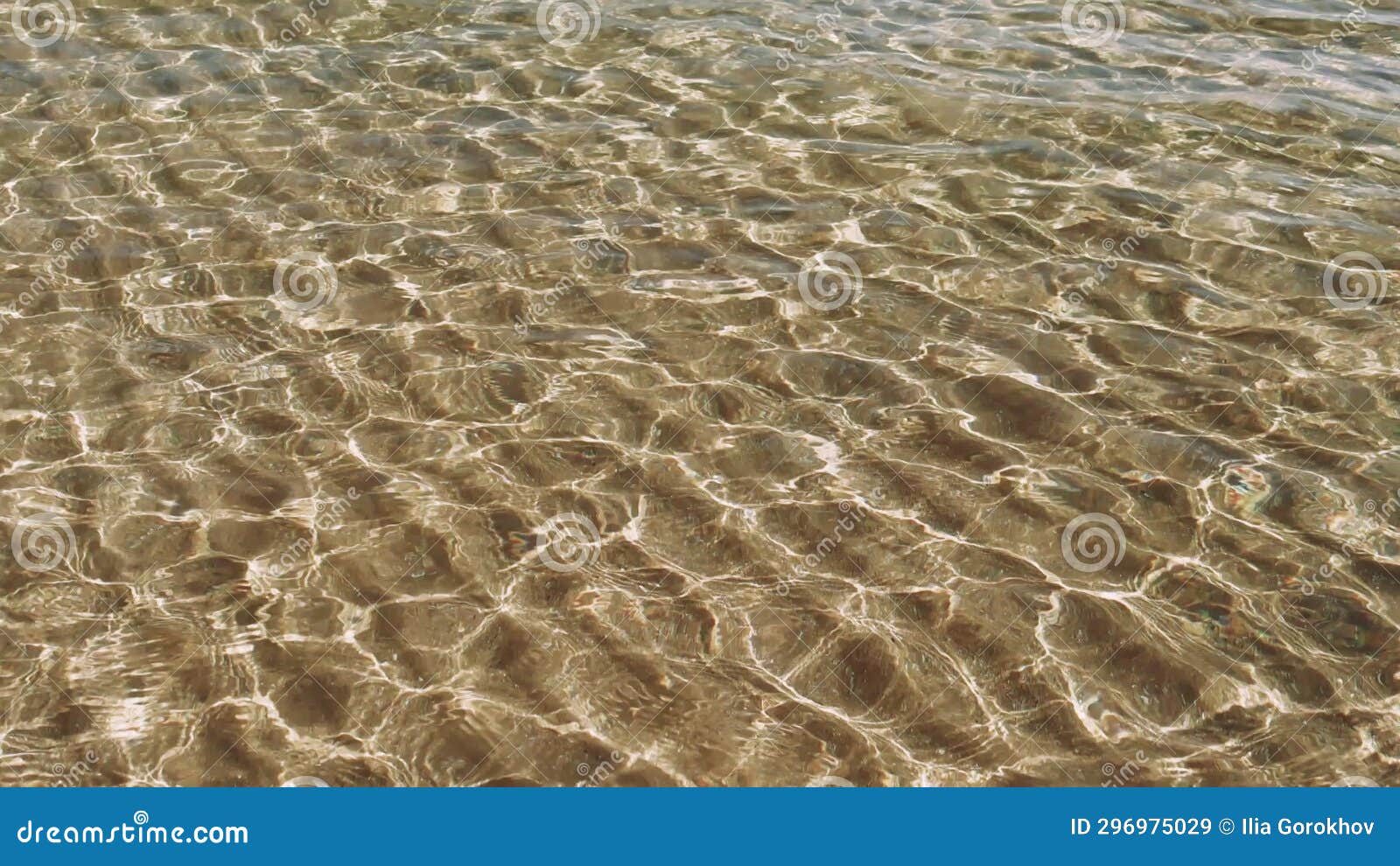 Close-up of Clear Water Ripples, a Dance of Light and Motion. Each ...