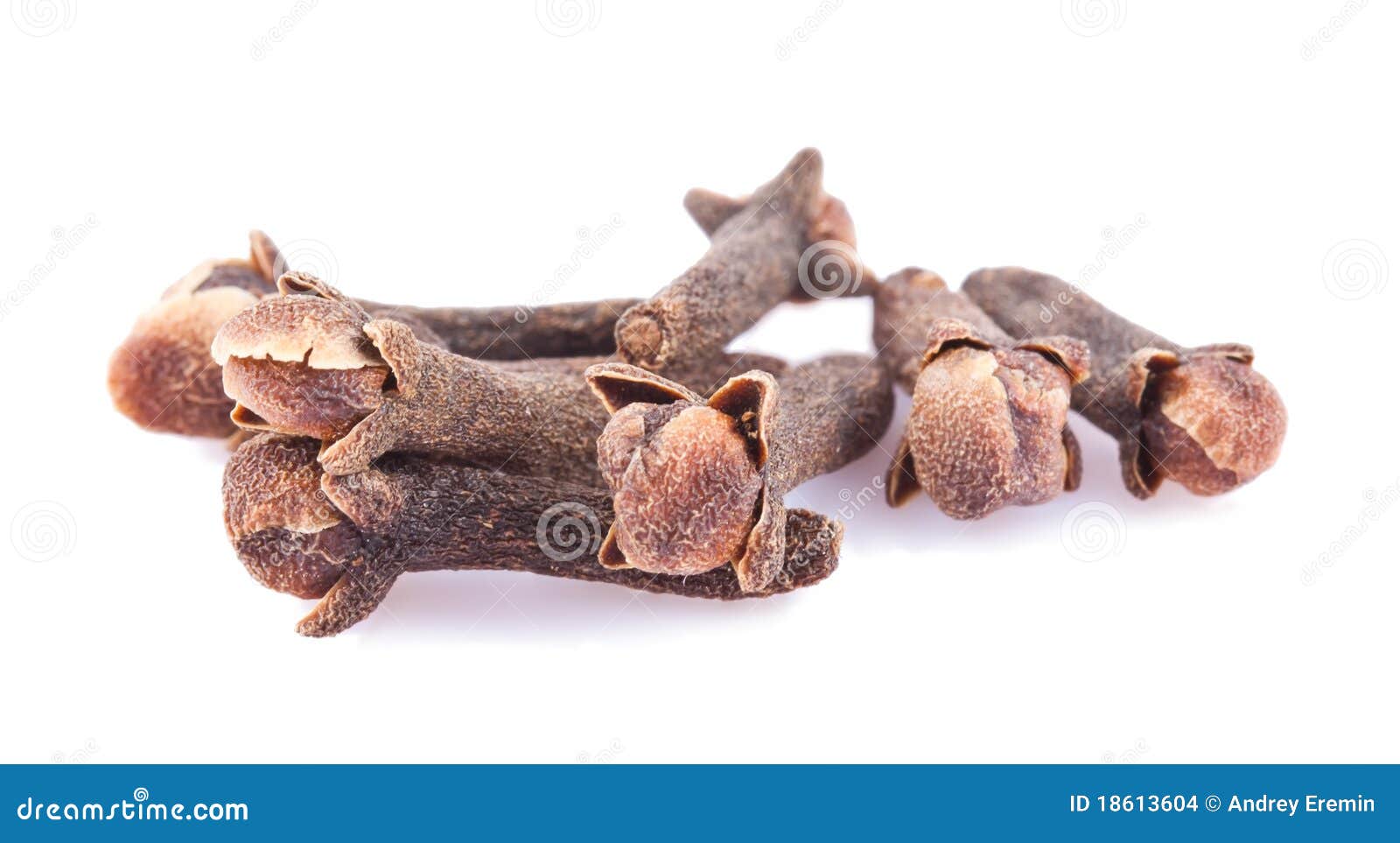 Close-up of cloves stock photo. Image of natural, kitchen - 18613604