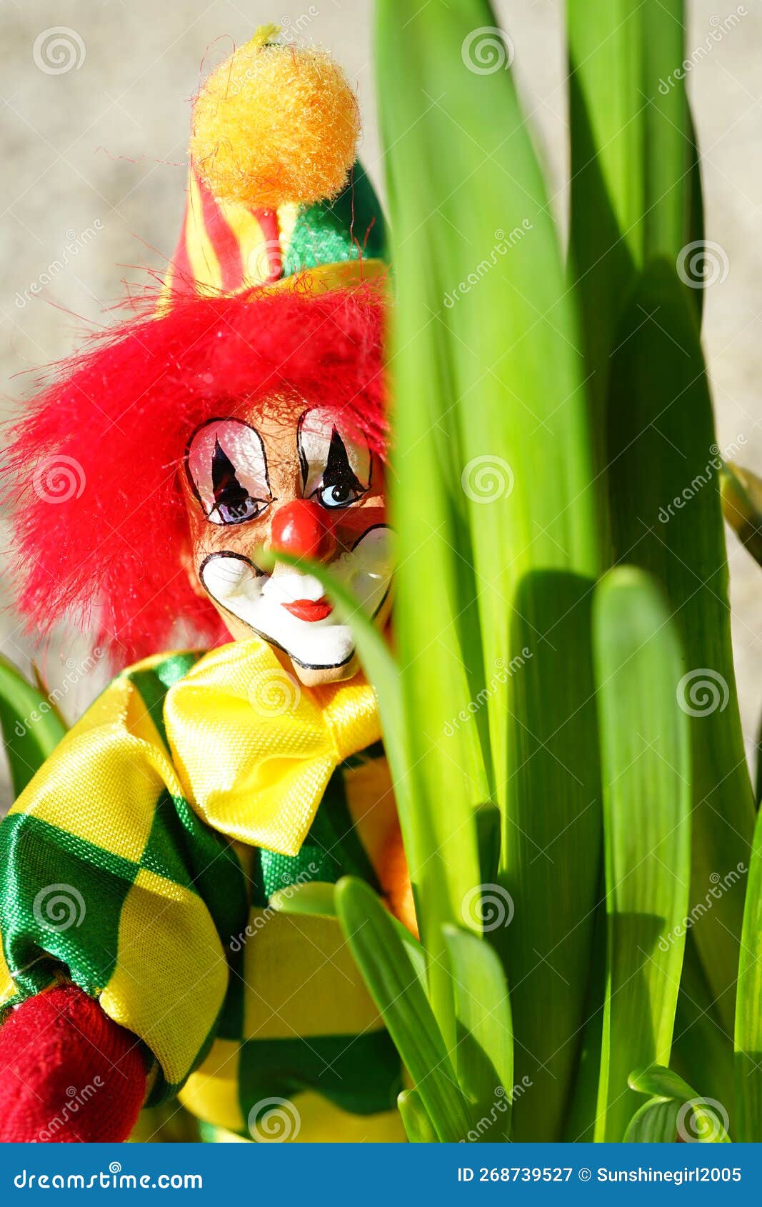 Close-up of a Clown at Carnaval Stock Image - Image of plant, costume ...