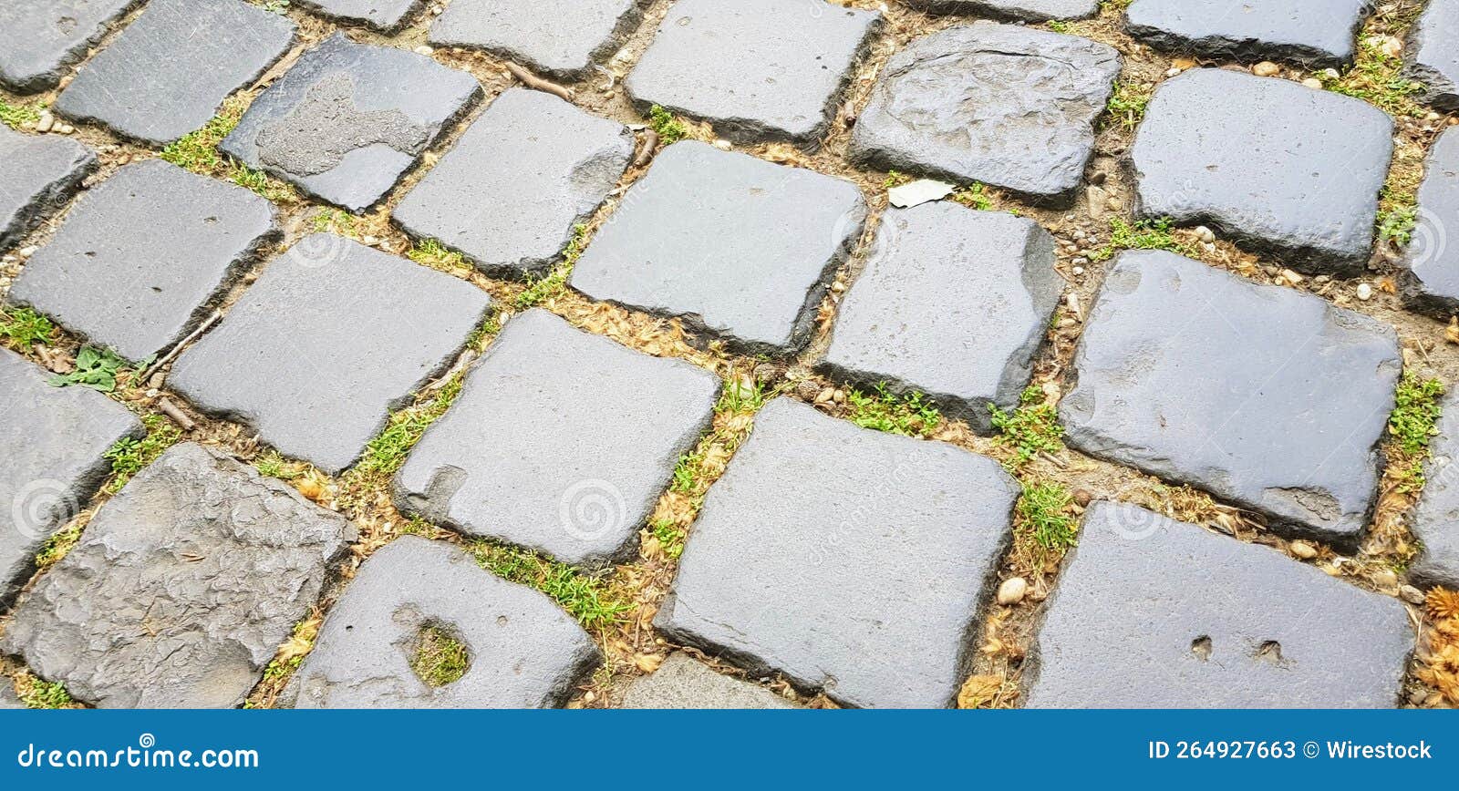 Close-up of a Cobbled Pavement. Stock Image - Image of street, stone ...