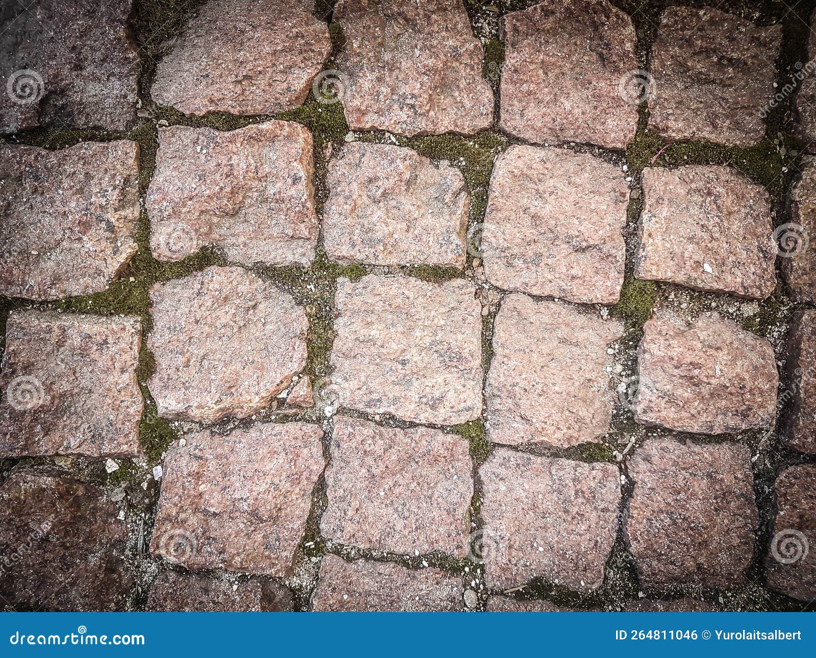 Close Up. Cobblestone Pavement with Moss Growing between the Stones ...