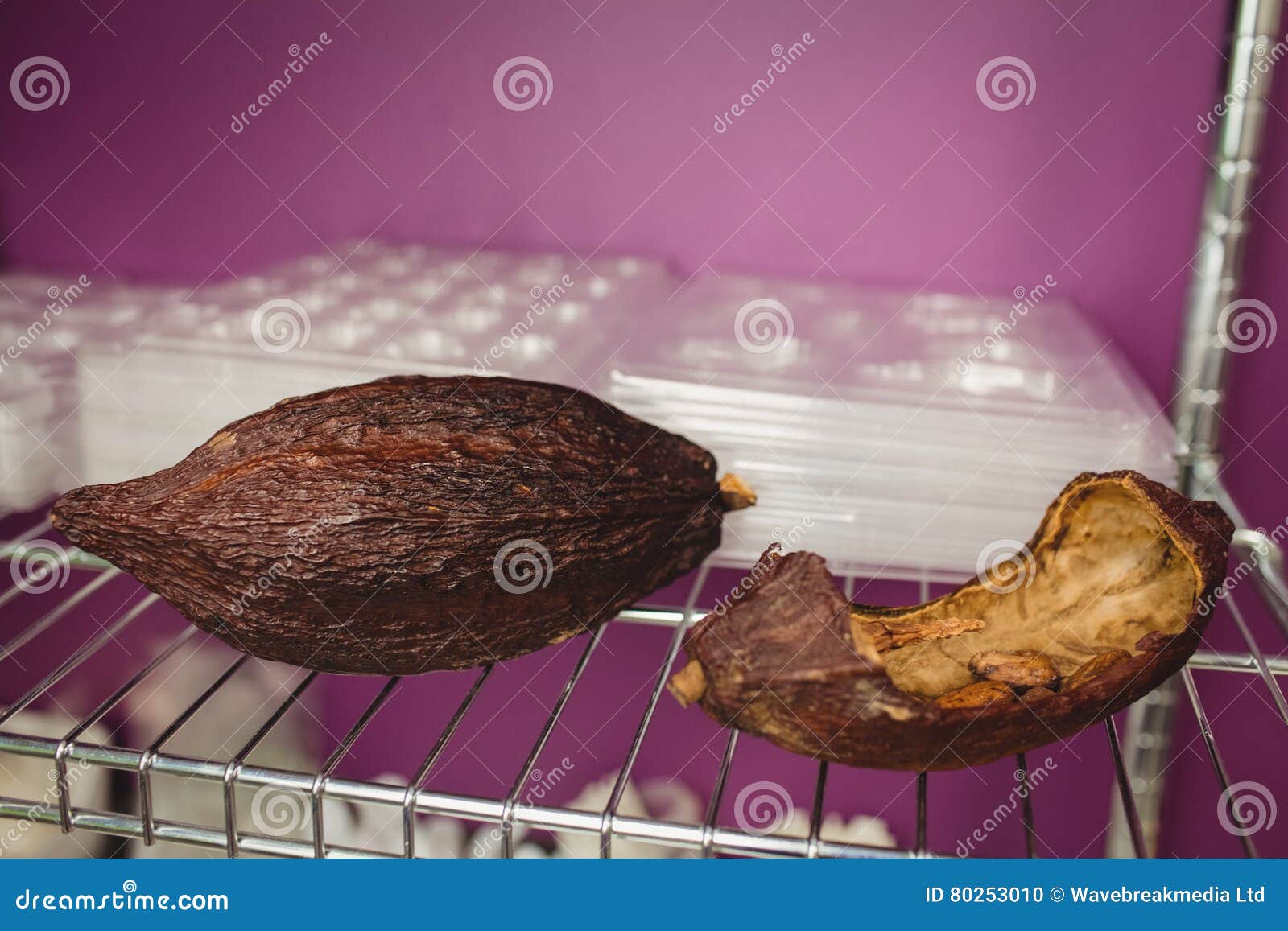 Close-up of coca seed stock photo. Image of coca, factory - 80253010