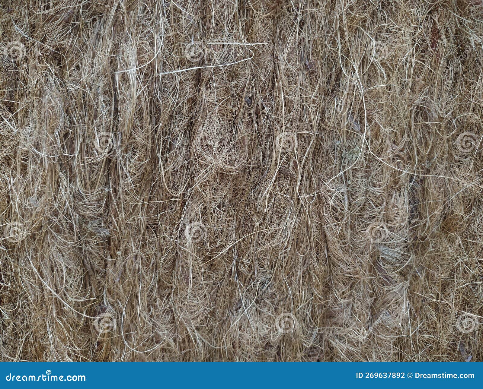 Close-up of Coconut Fiber Texture for Background Stock Photo - Image of ...
