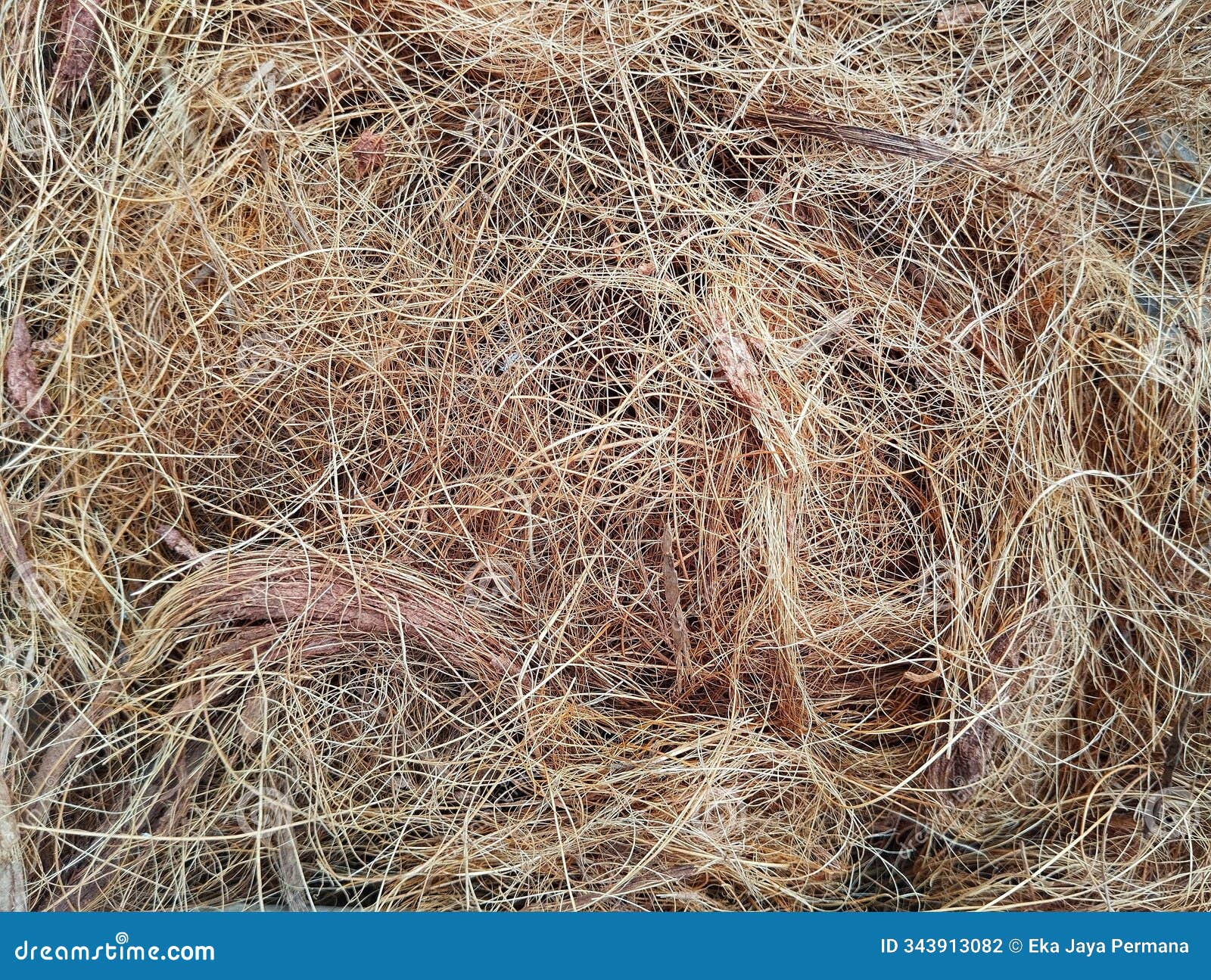 Close Up of Coconut Fiber Texture, Nature Abstrack Background Stock ...