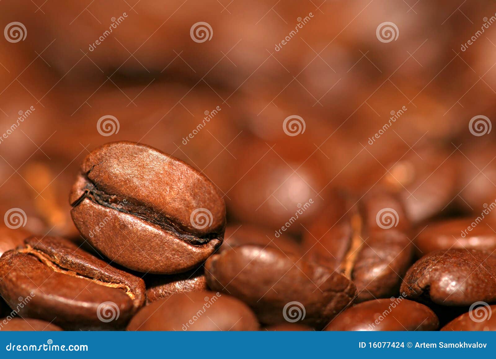 5,260 Smell Coffee Bean Background Stock Photos - Free & Royalty-Free ...
