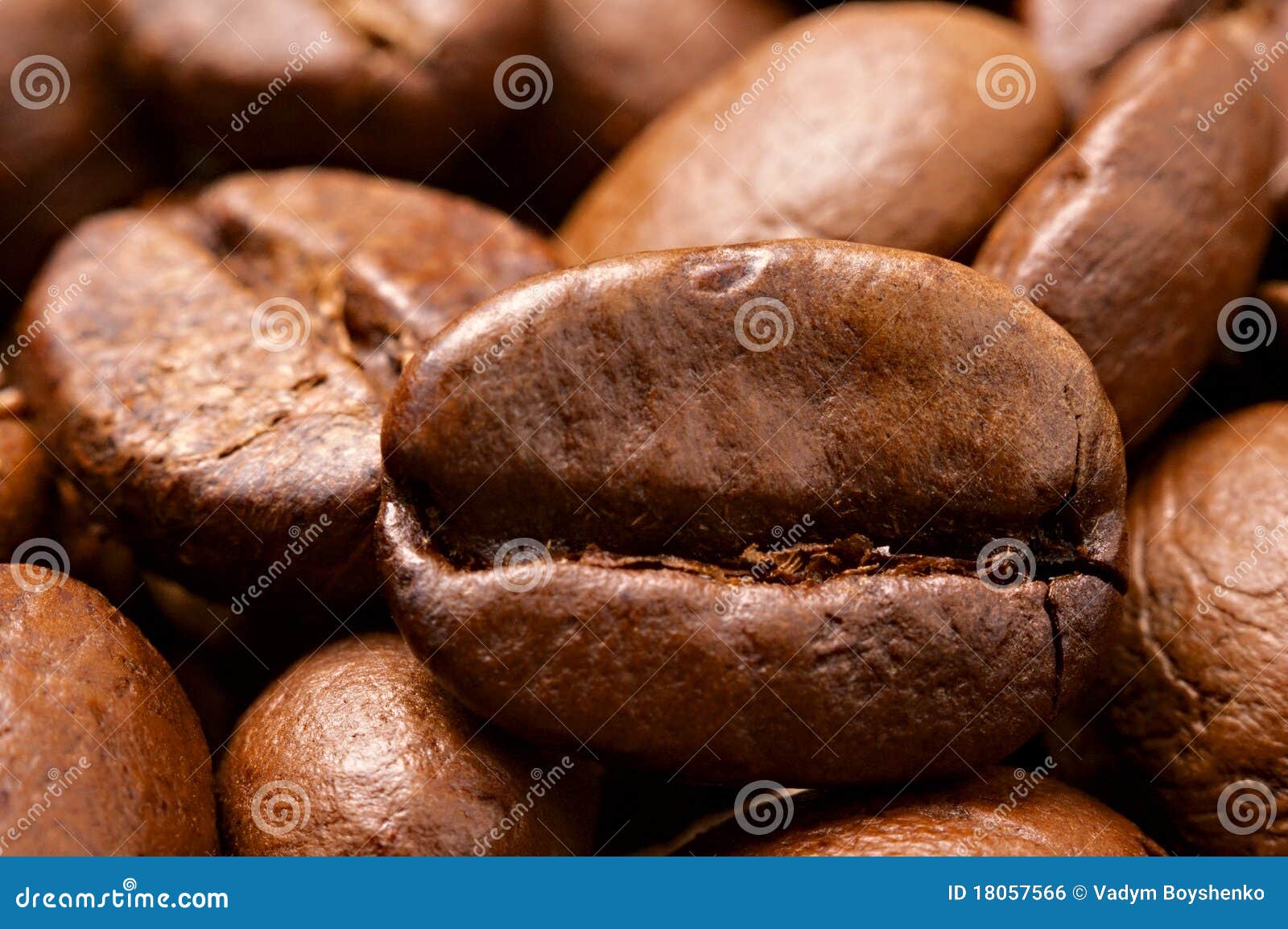 Close-up of Coffee Beans stock photo. Image of cafe, macro - 18057566