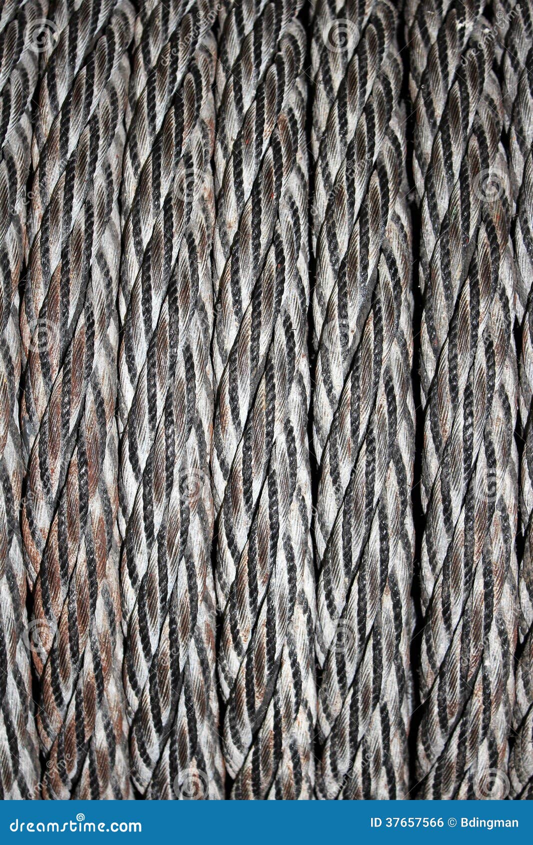 Close Up of Coiled Rope stock photo. Image of coiled - 37657566