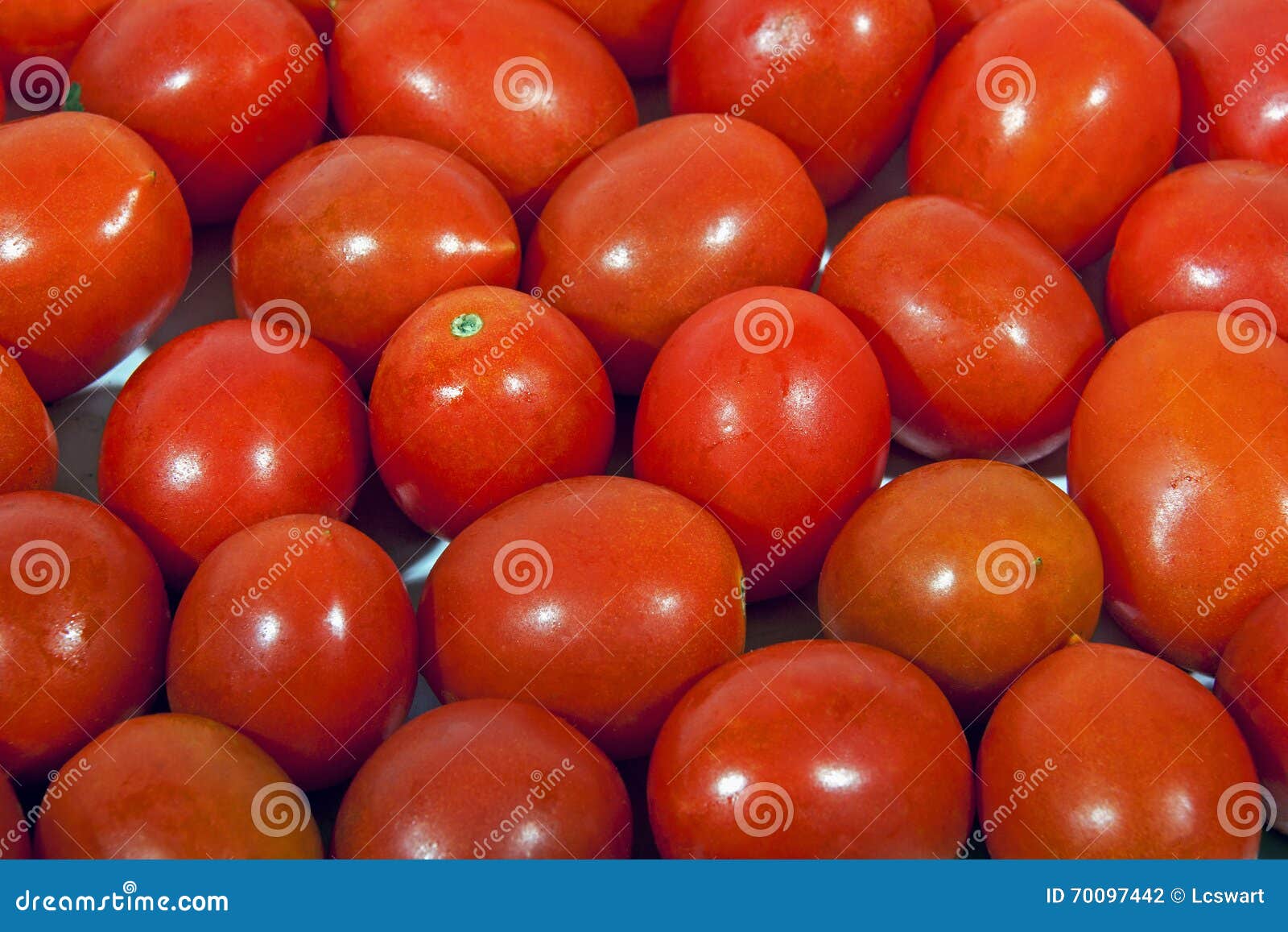 Close Up Collection of Bright Red Cherry Tomatoes Stock Photo - Image ...