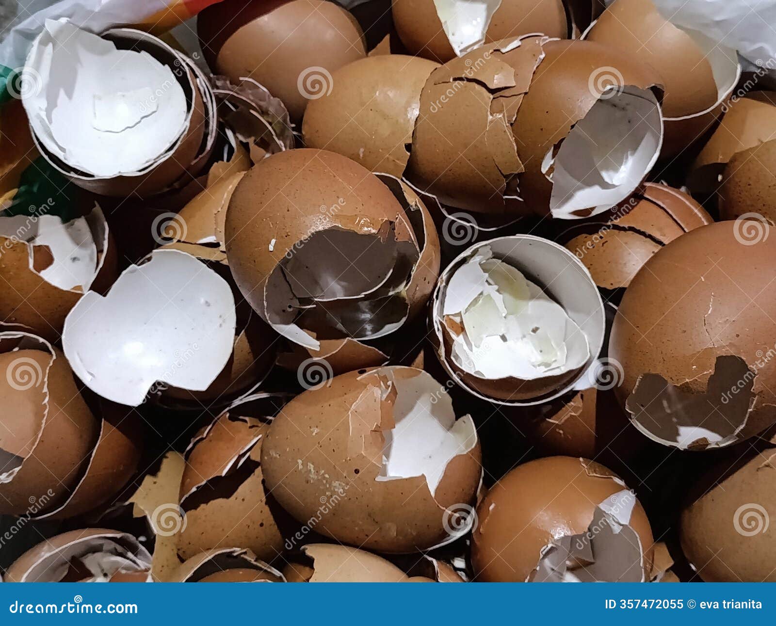 Close-Up of a Pile of Broken Egg Shells Stock Image - Image of ...