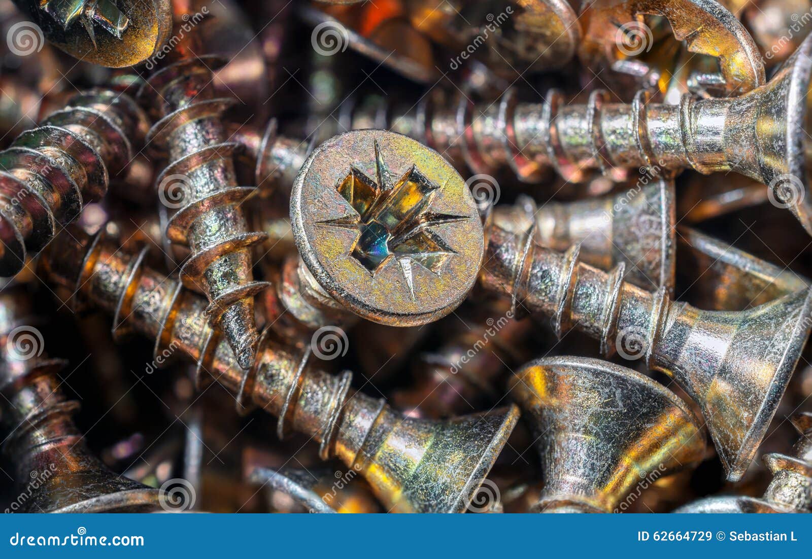 Close Up of a Collection of Screws 2 Stock Image - Image of metal ...
