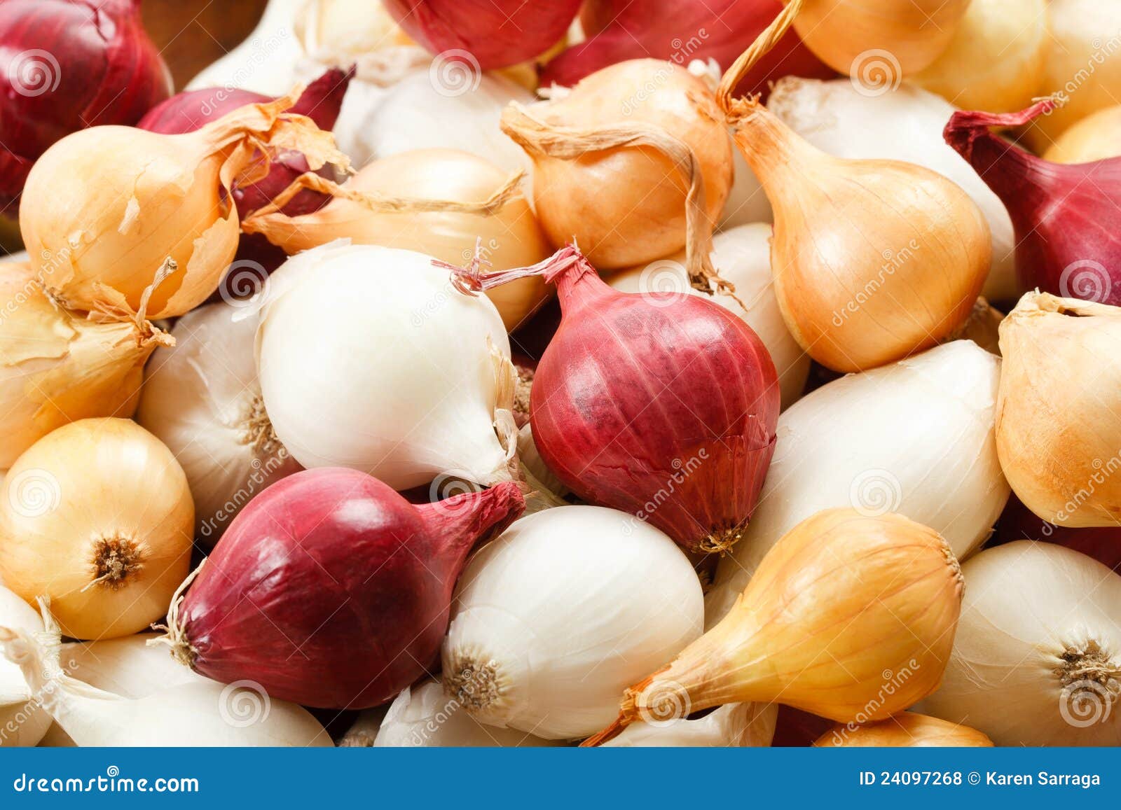 Close Up of Colorful Pearl Onions Stock Photo - Image of bulb ...