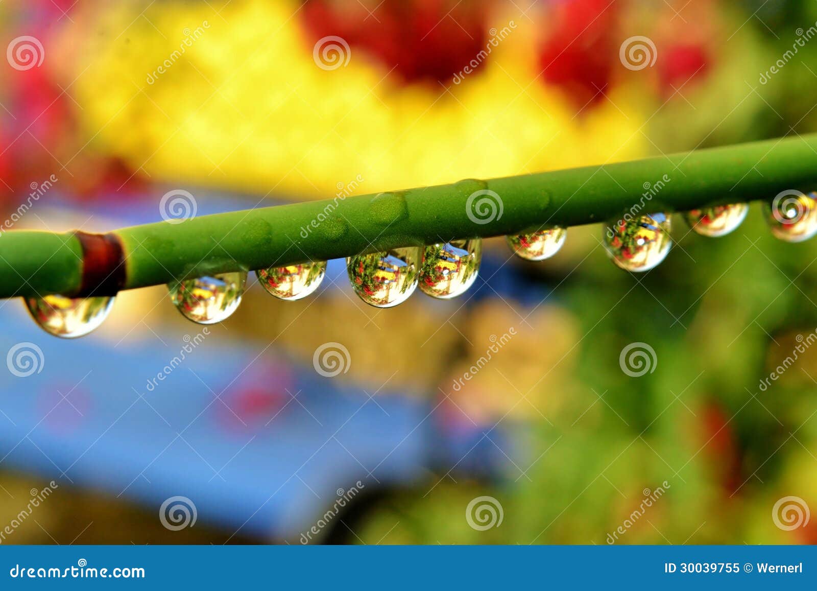 Colorful raindrops stock image. Image of background, blue - 30039755