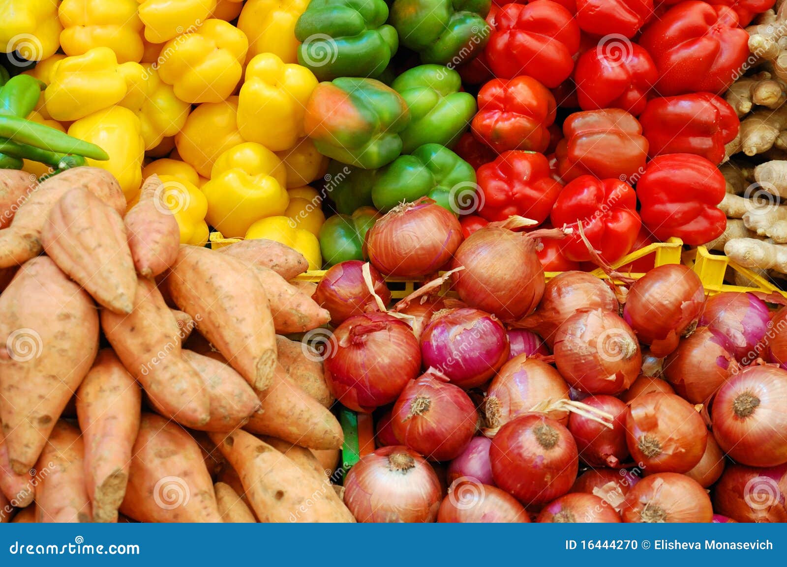 Close Up of Colorful Vegetables Stock Photo - Image of green ...